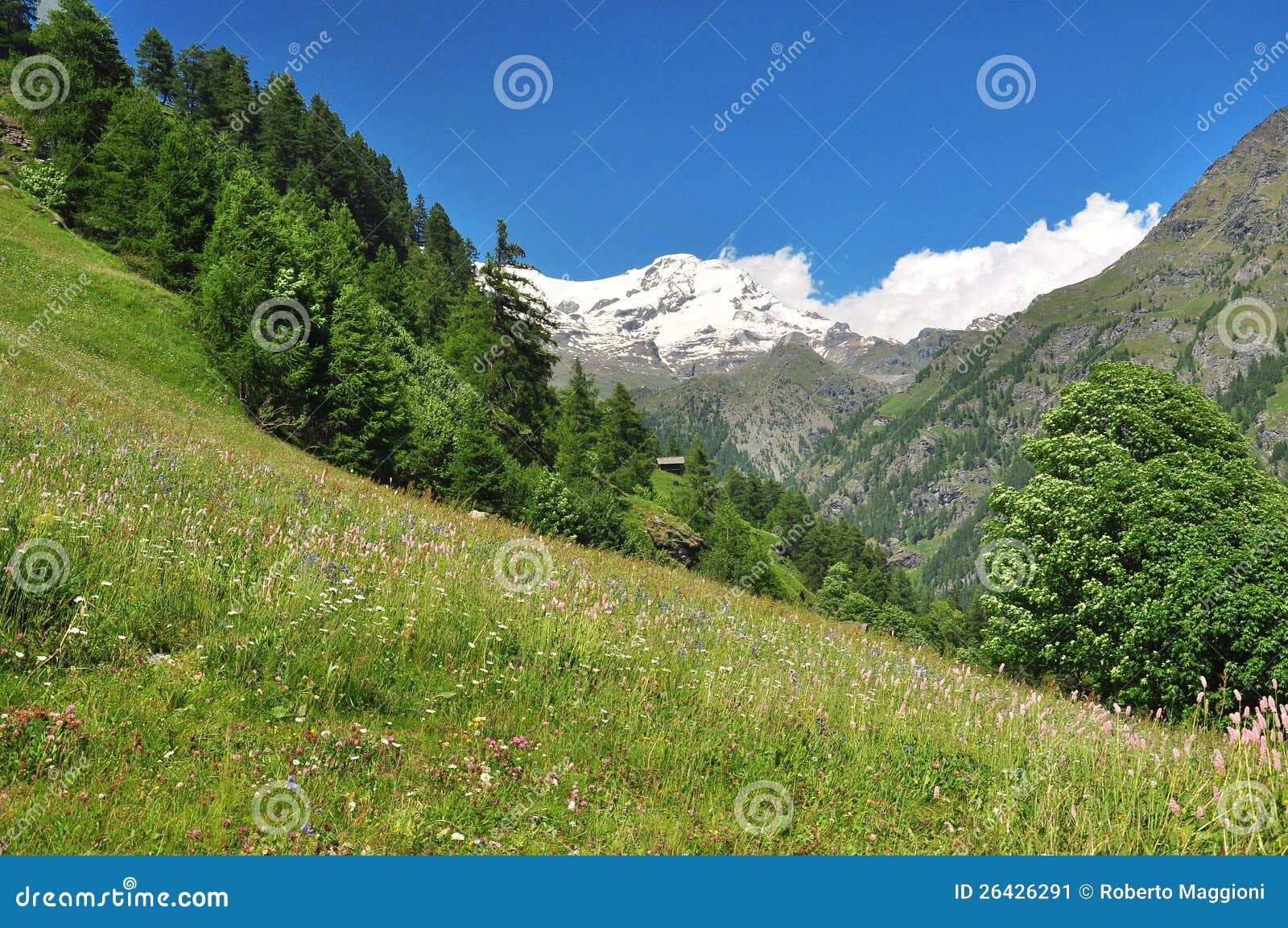 Monte Rosa, Aosta Valley, Italy Stock Image - Image of italy ...