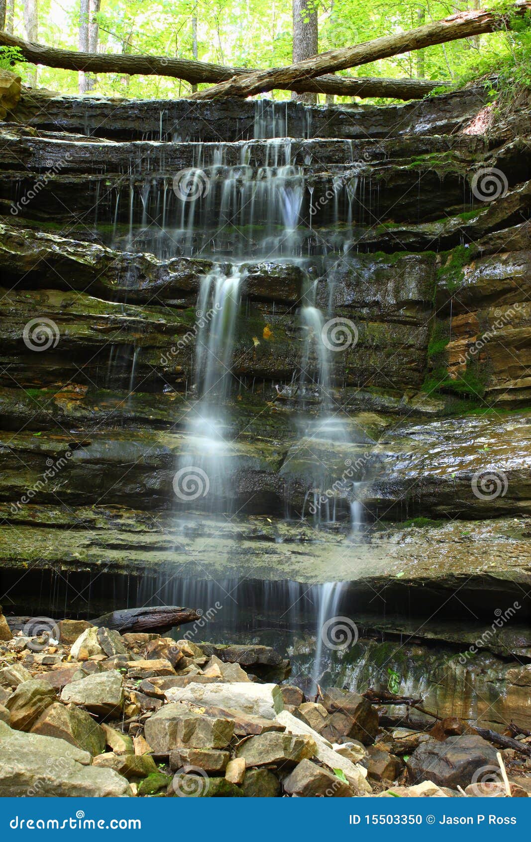 Monte Sano State Park - Alabama Stock Photo - Image of creek, waterfall ...