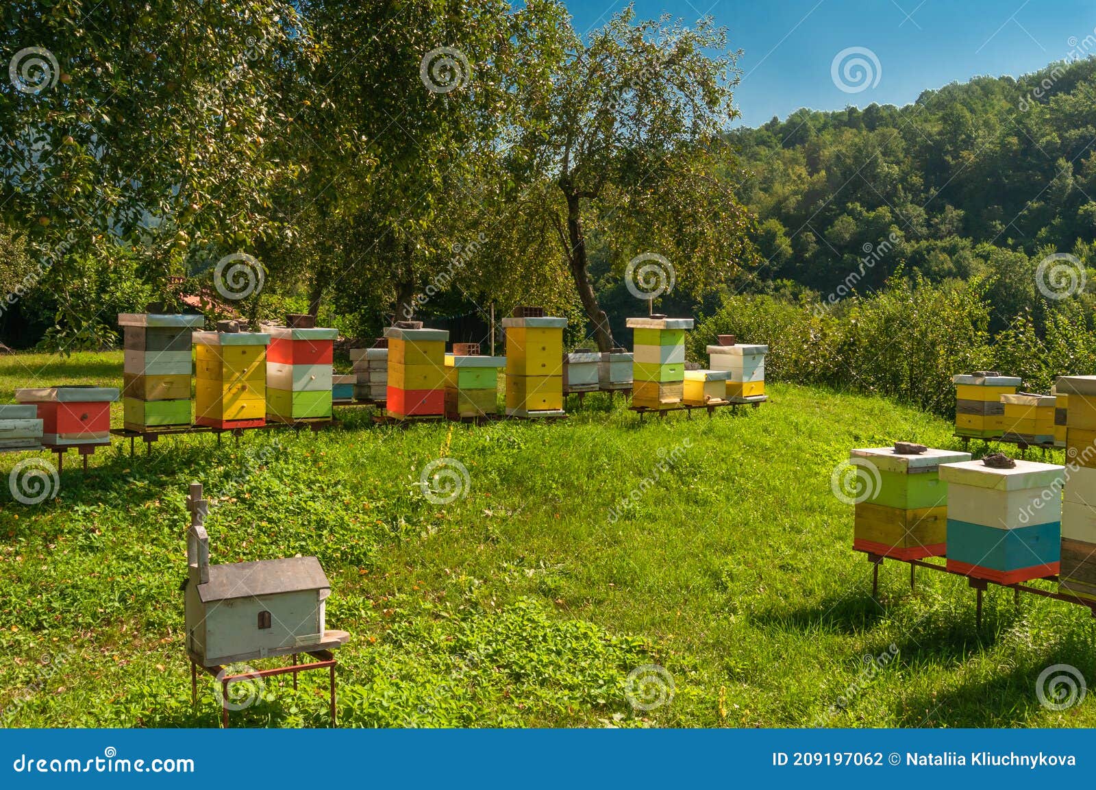 A Row Of Colored Bee Hives In A Field Of Flowers. Stock Photography ...