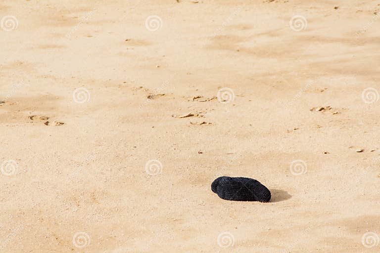 Montera stock image. Image of bullfighting, outdoor, fighter - 28433513