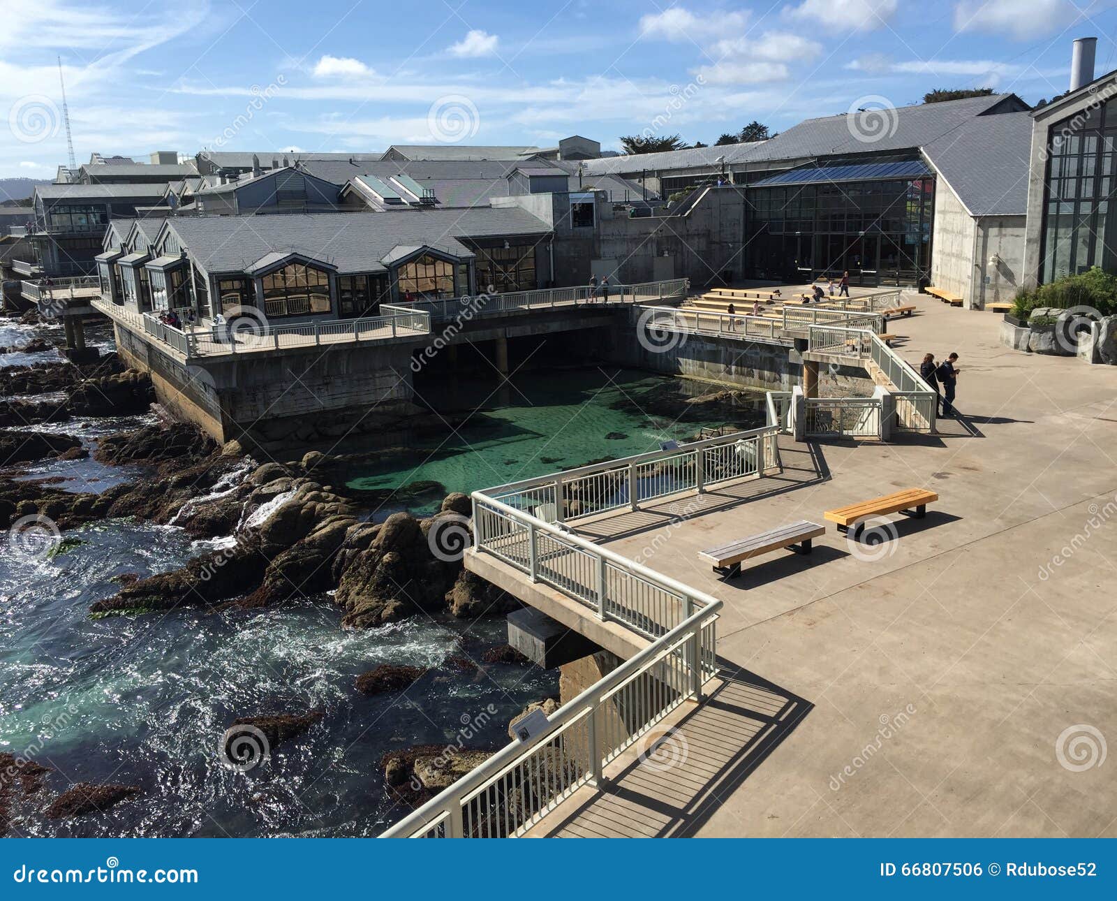 Monterey Aquarium Ca