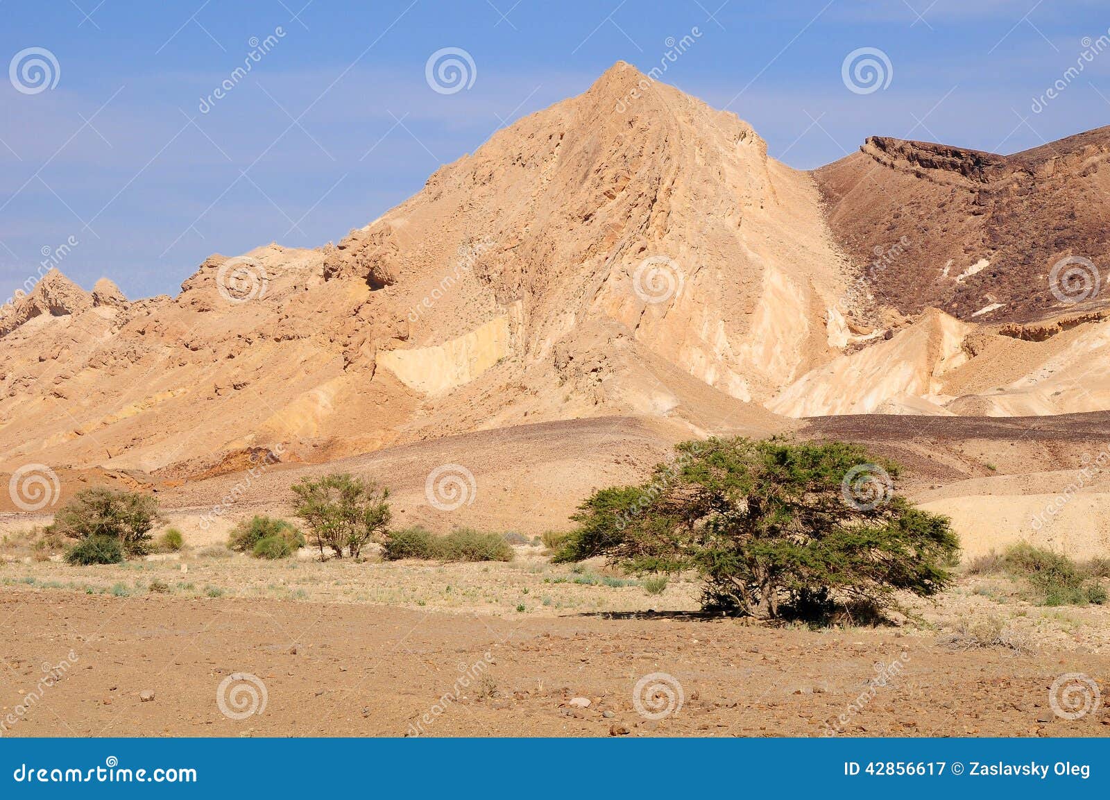Montes do deserto imagem de stock. Imagem de montanha - 42856617