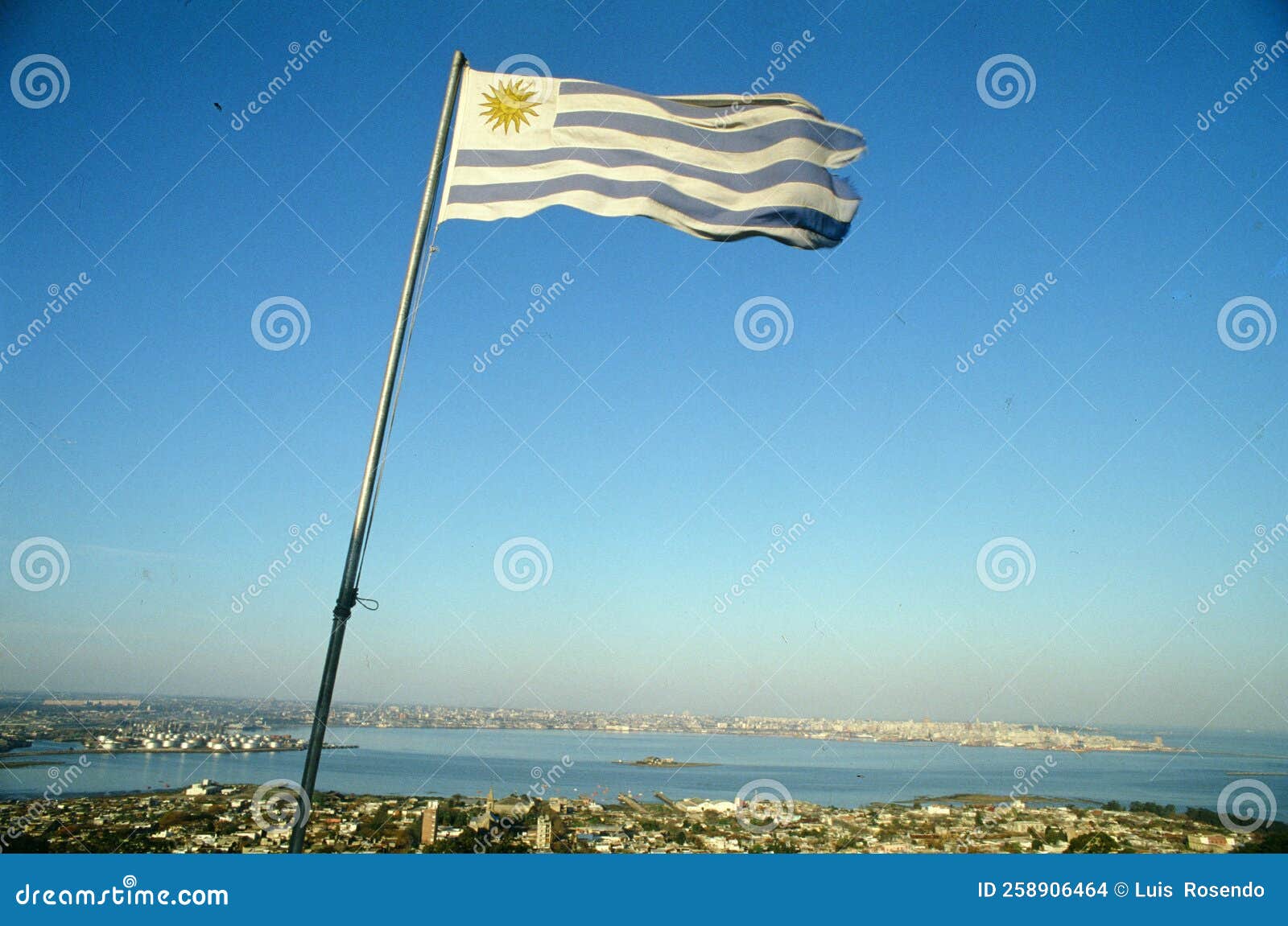 Uruguayan flag flying stock photo. Image of uruguay - 258906464