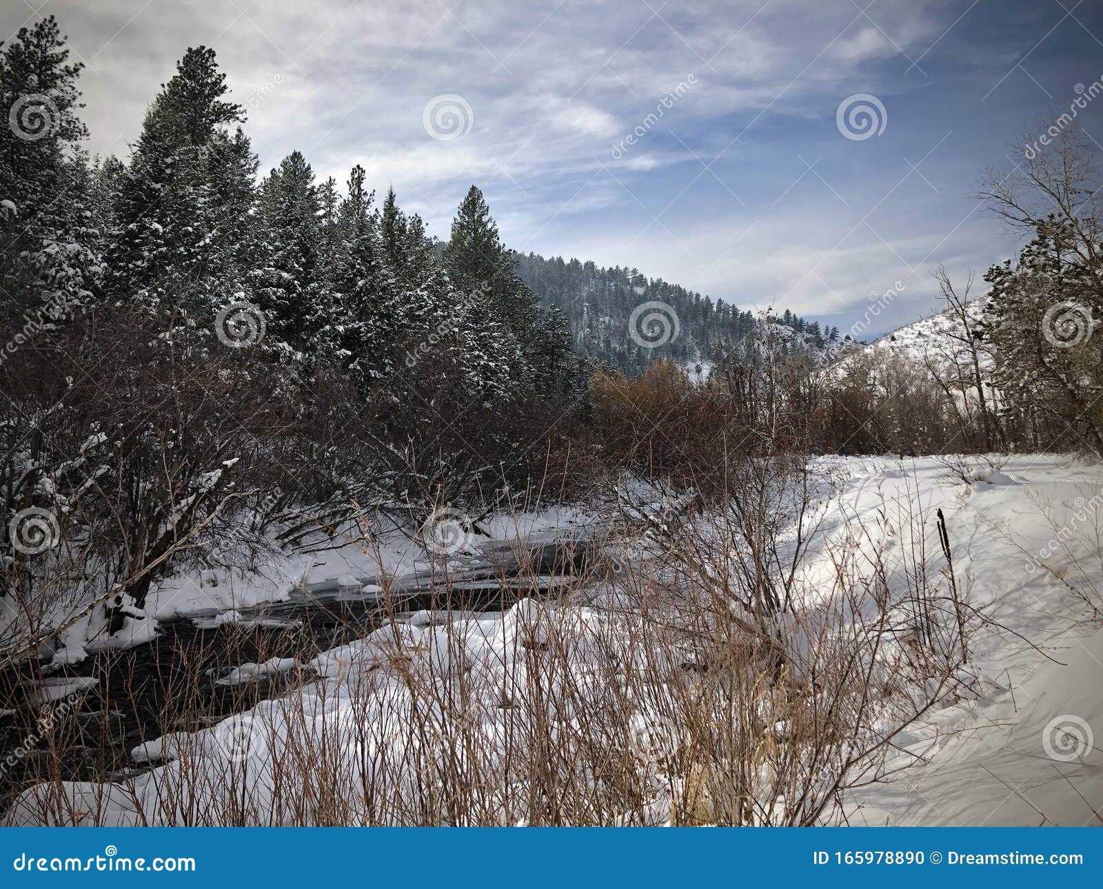 Montezuma Colorado stock photo. Image of snow, colorado - 165978890