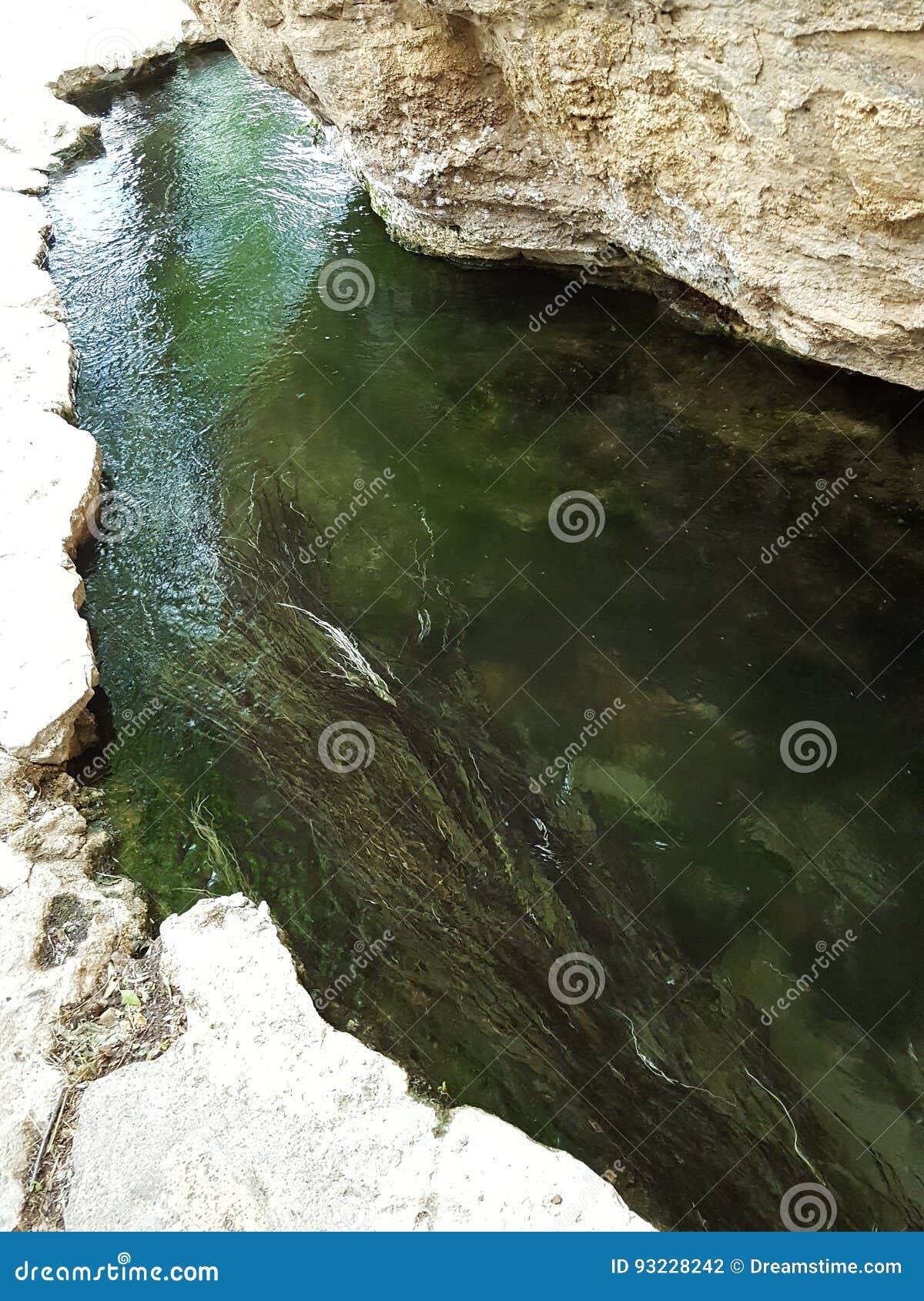 Montezuma well stock photo. Image of water, nature, river - 93228242