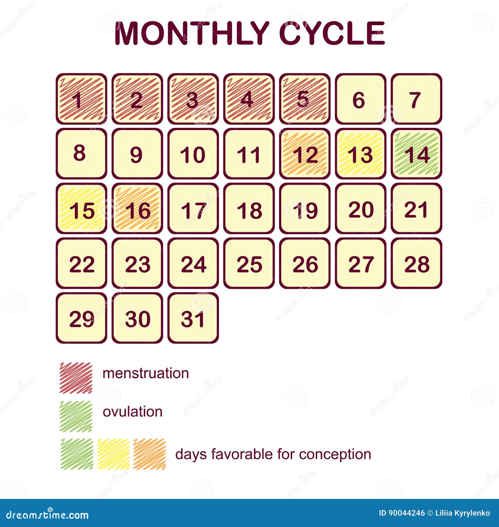 The Monthly Cycle of a Woman. Menstruation and Ovulation. Planning ... The Monthly Cycle of a Woman. Menstruation and Ovulation. Planning ...