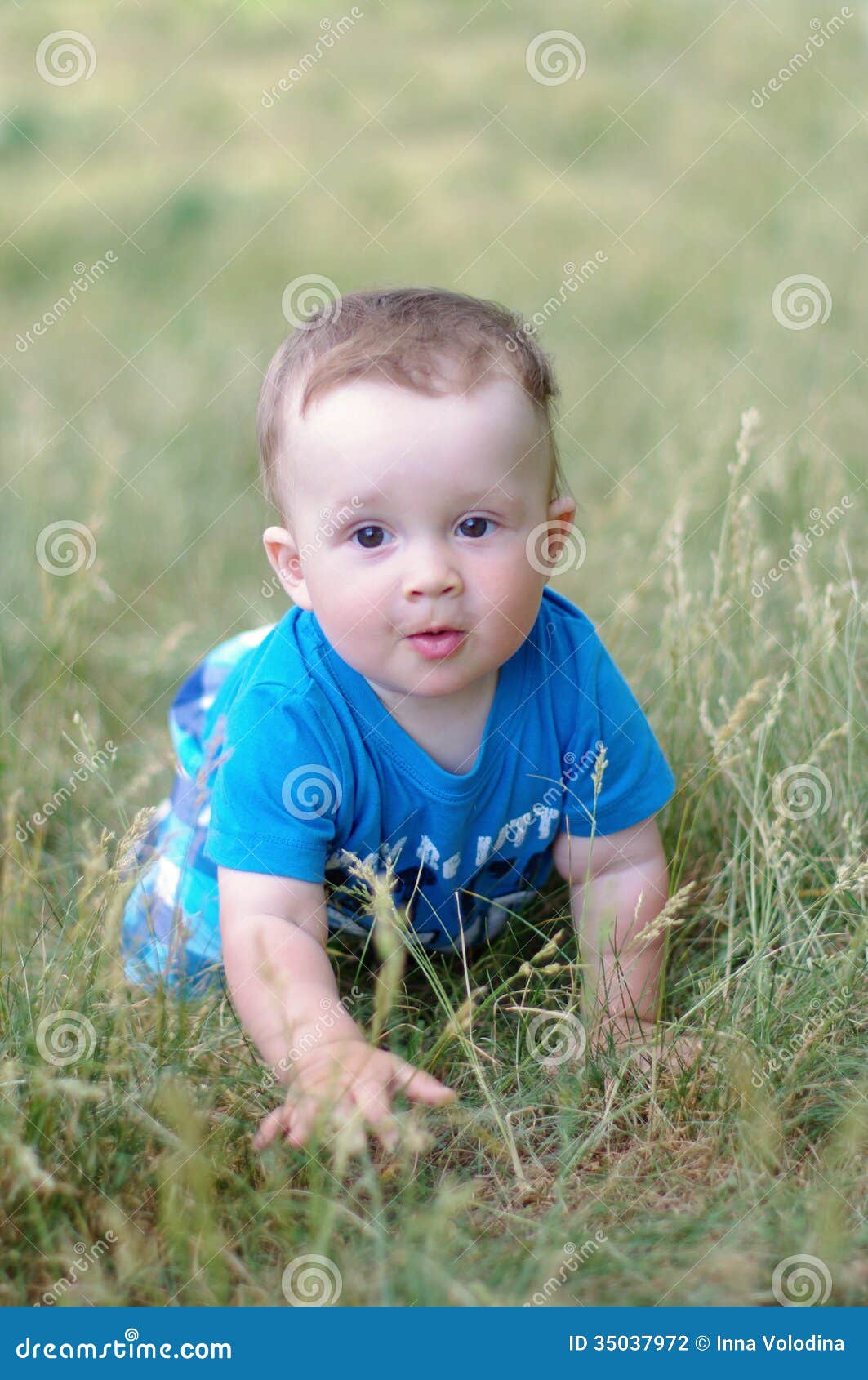 9-months Baby Creeps on Grass Stock Photo - Image of infant, outdoor ...