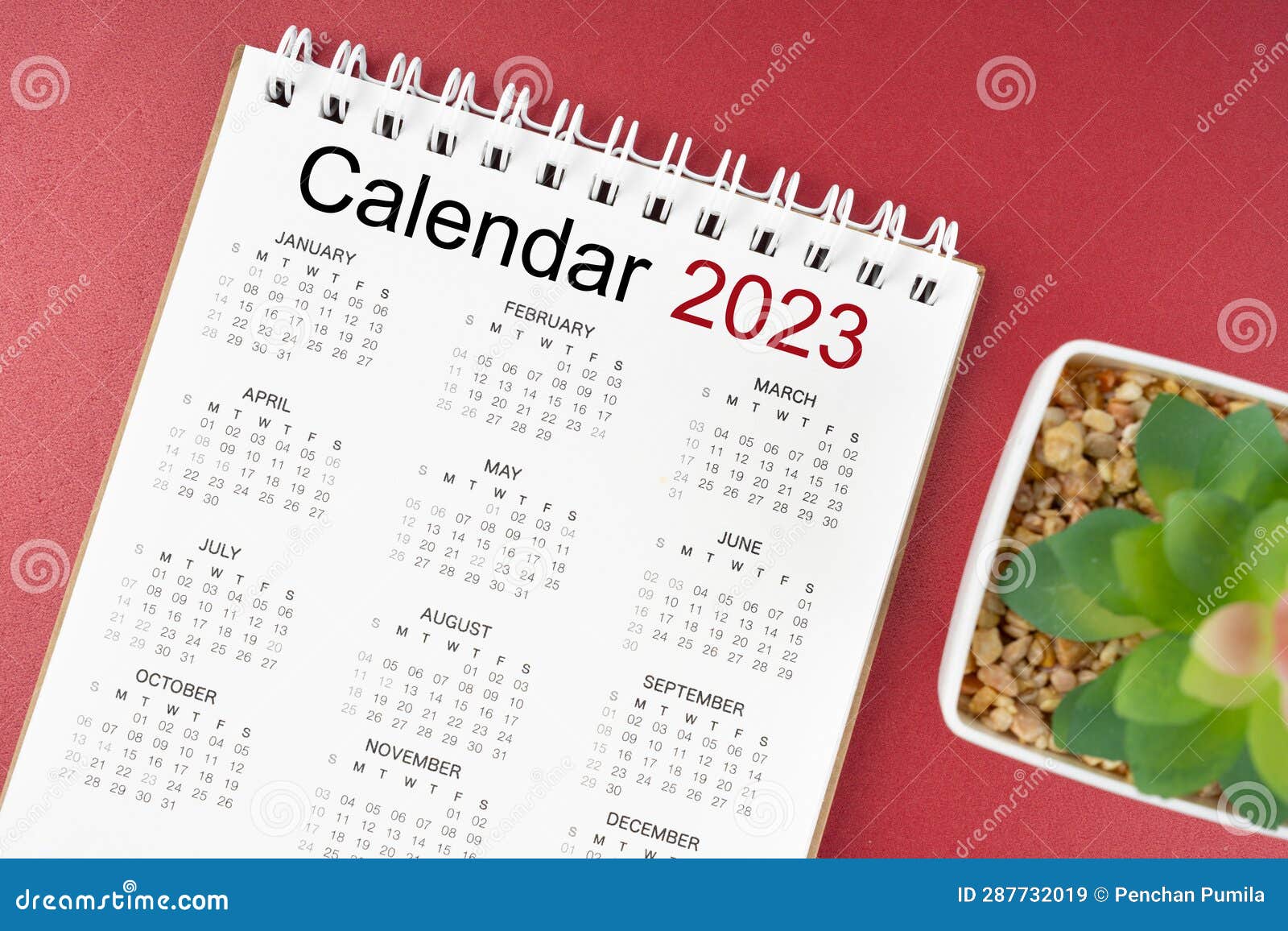 The 12 Months Desk Calendar 2024 With Plant Pot On Pink Color ...