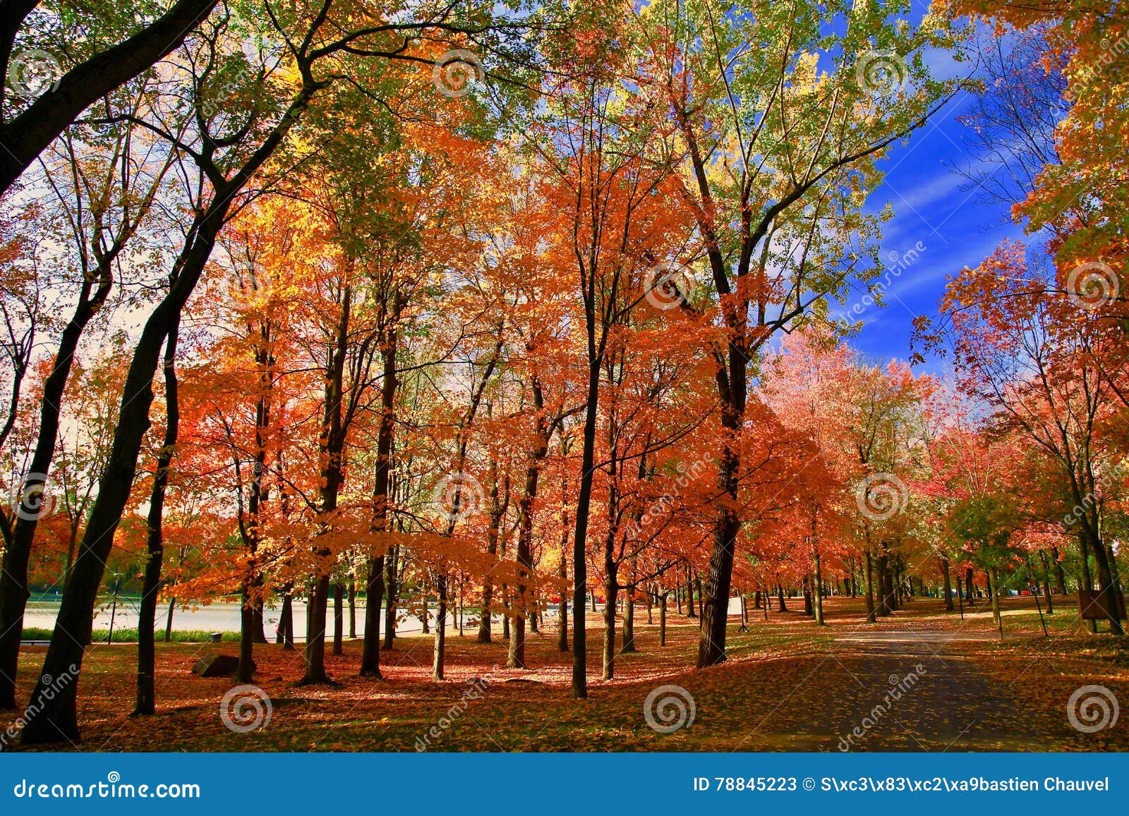 Montreal, Autumn, Quebec Canada Stock Image - Image of french, canada ...
