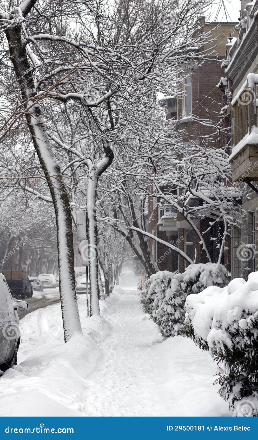 Montreal snow storm stock image. Image of building, frozen - 29500181