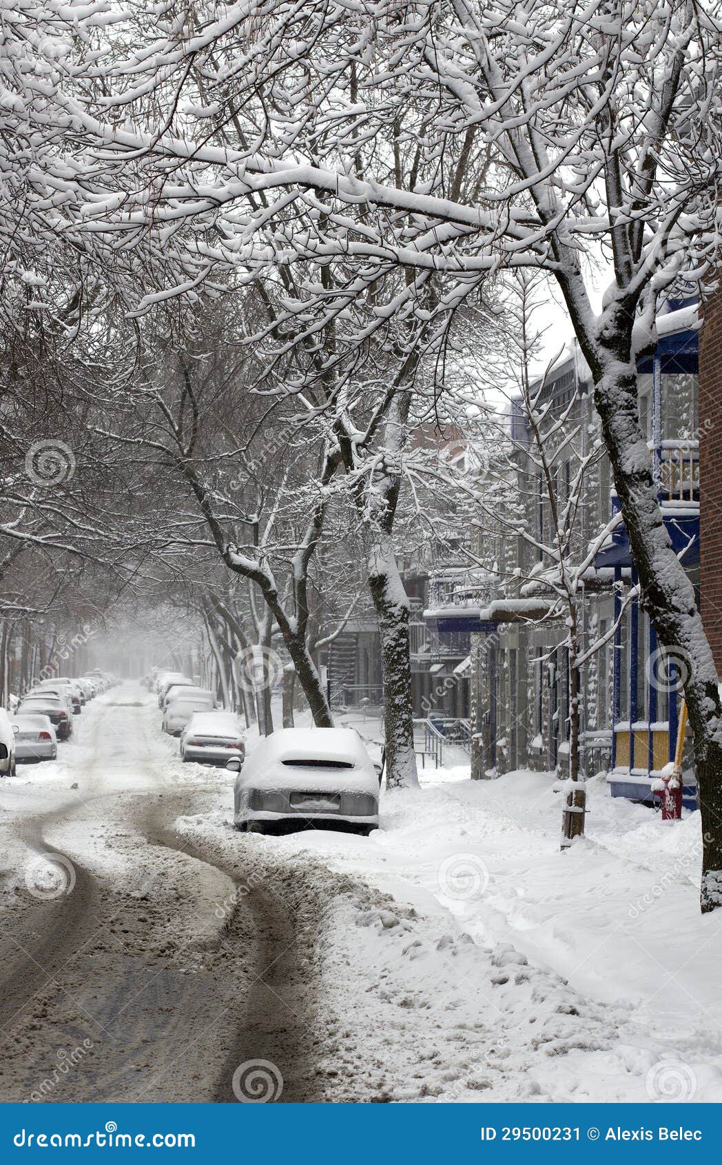 Montreal snow storm stock image. Image of snowing, houses - 29500231