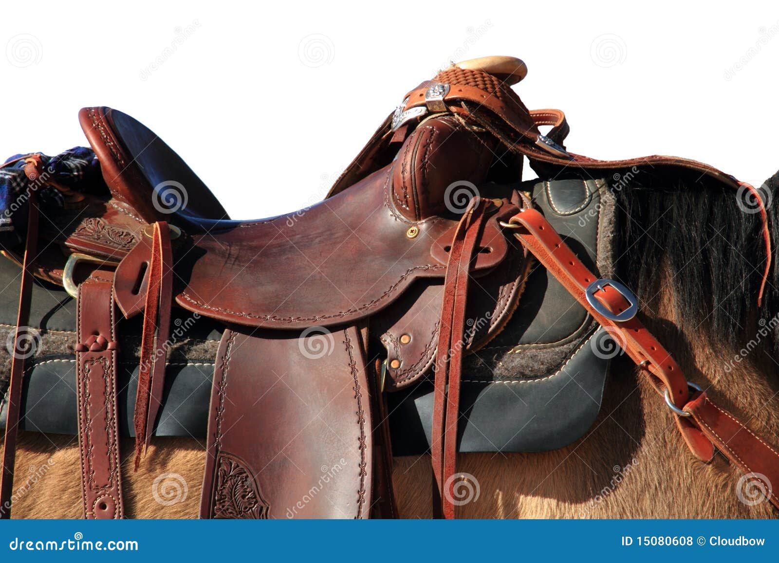 Montura en caballo foto de archivo. Imagen de cuero, recorte - 15080608