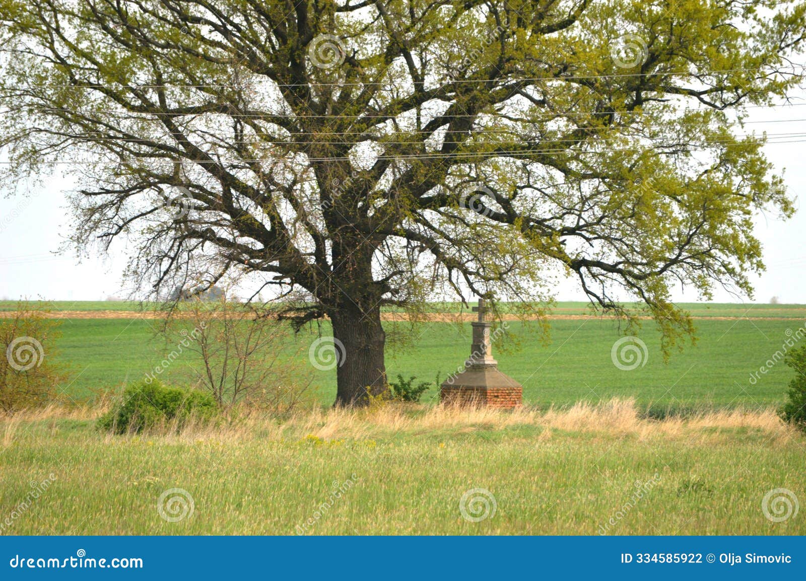 Monument with a Cross Under a Tree Stock Photo - Image of monument ...