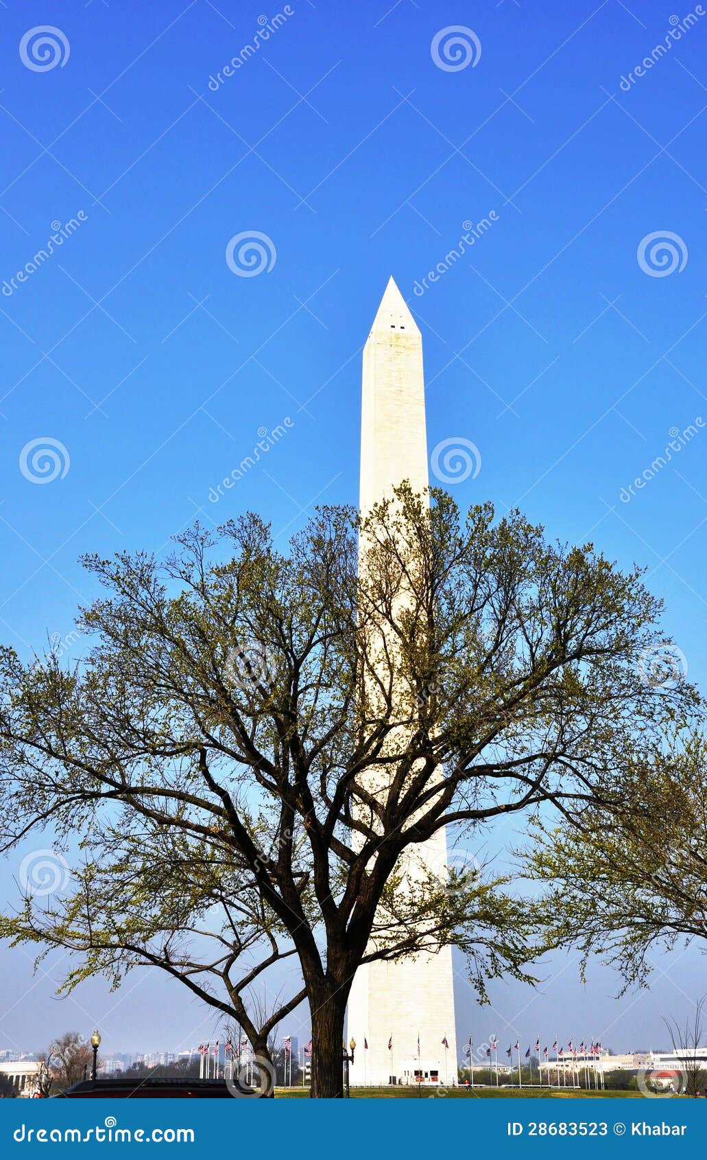 Monument Et Arbre De Washington. Image stock - Image du washington ...