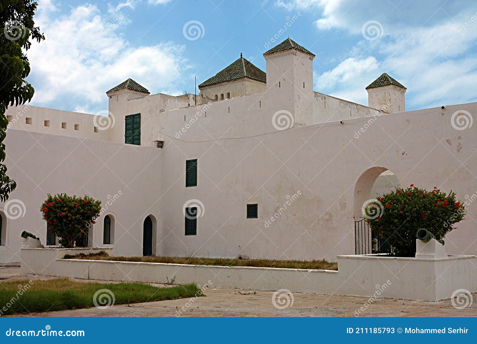 Monuments of the City of Safi Stock Image - Image of bird, arch: 211185793