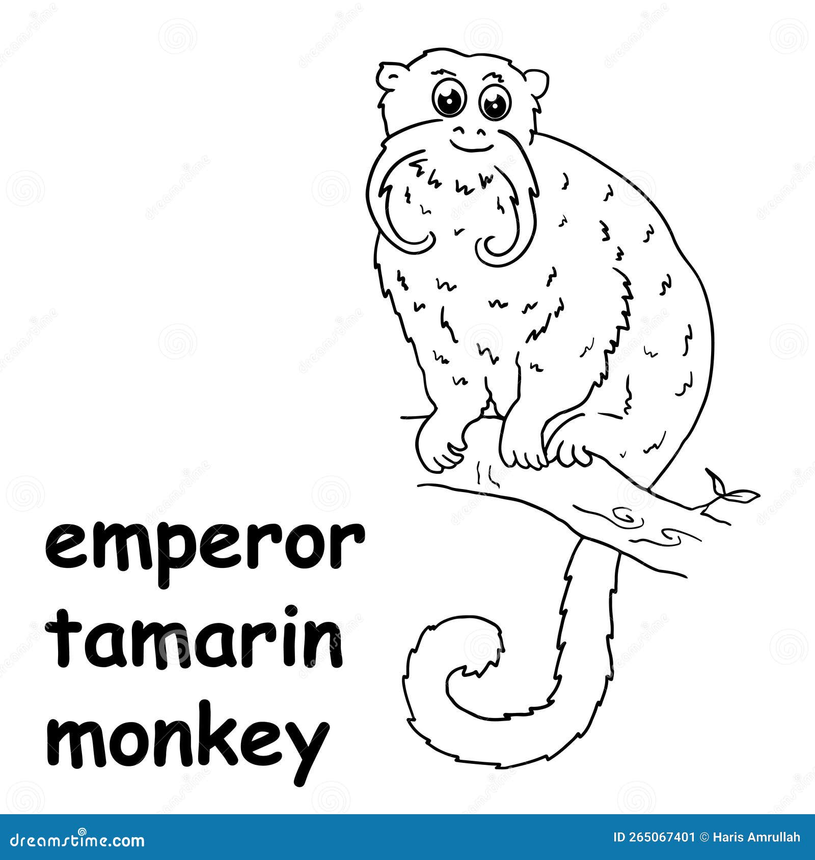 Kids Line Illustration Coloring Emperor Tamarin Monkey. Outline Vector ...