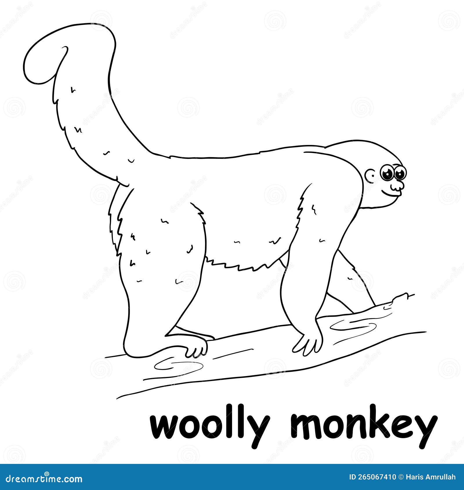 Kids Line Illustration Coloring Woolly Monkey. Outline Vector for ...