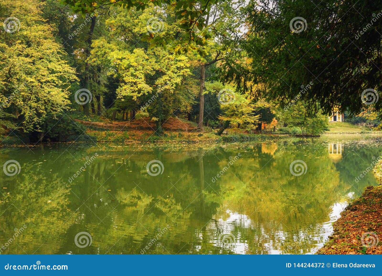 Monza park. Italy stock photo. Image of leaf, europe - 144244372