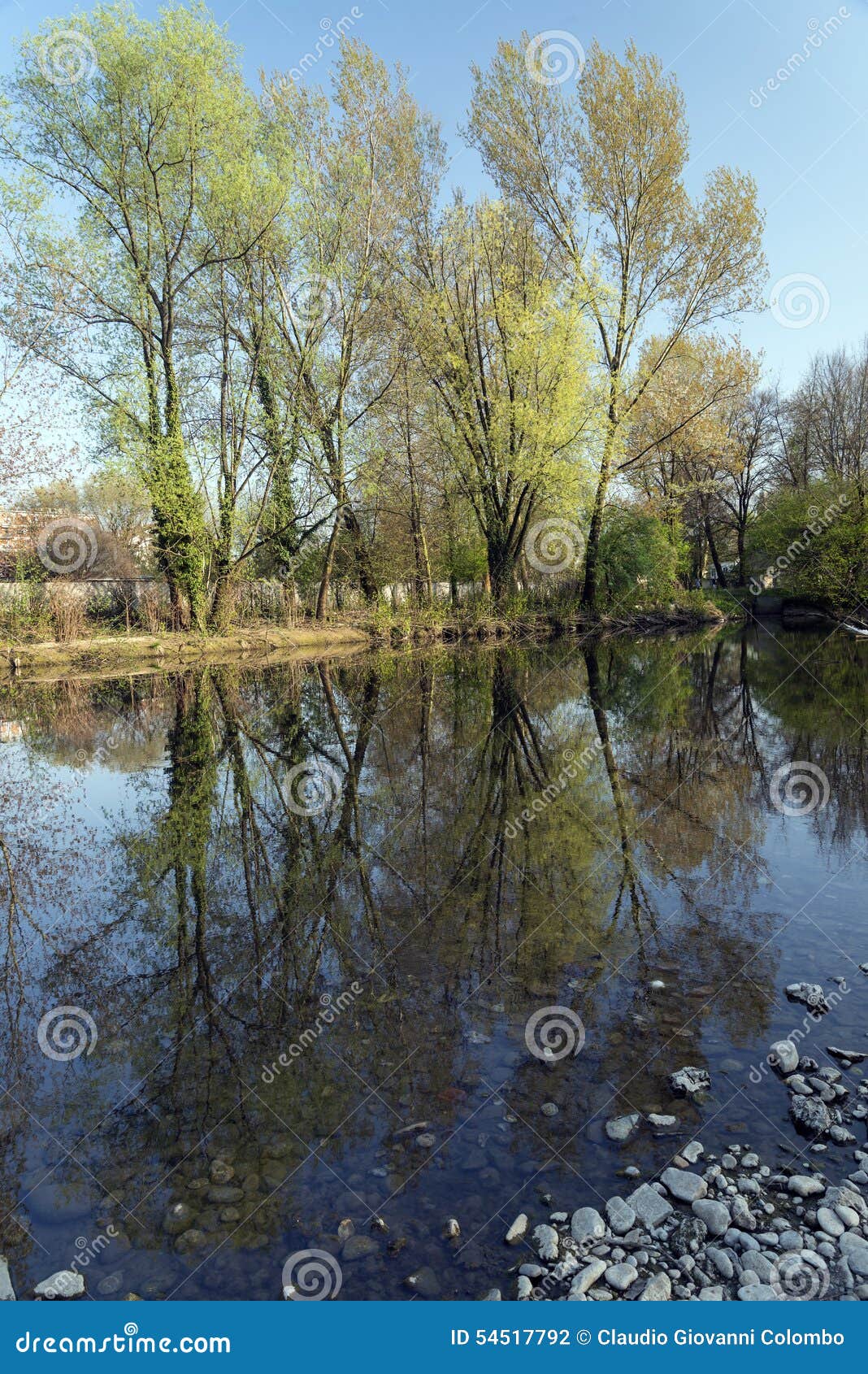 Monza Park: Lambro river stock photo. Image of reflection - 54517792