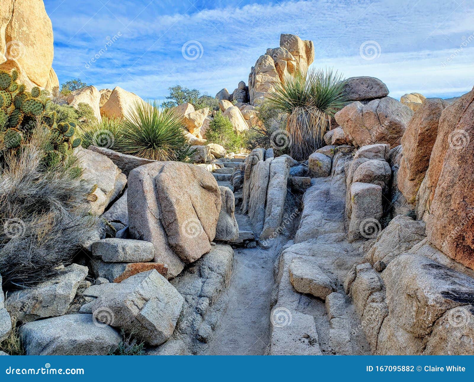 Monzogranite Gesteinsformationen Entlang Des Wanderweges Des Hidden ... Monzogranite Gesteinsformationen Entlang Des Wanderweges Des Hidden ...