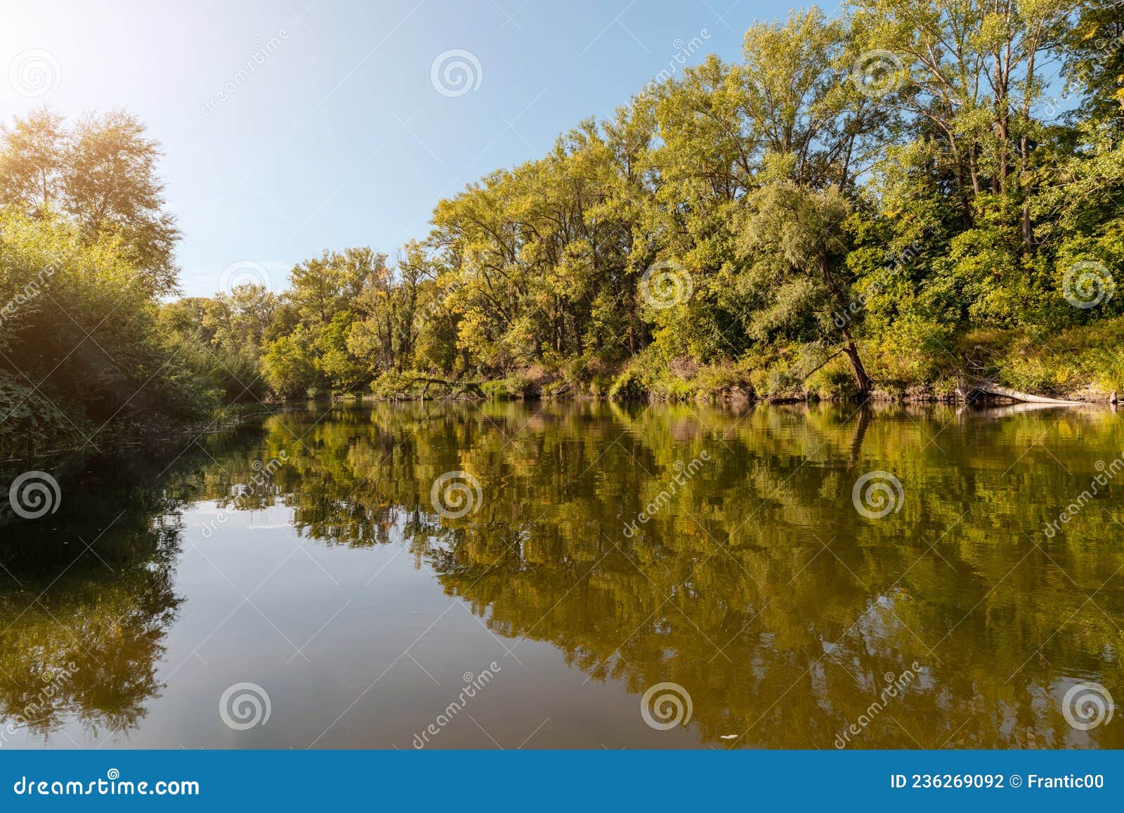 Calm Slow River with Reflection of Trees Stock Photo - Image of dawn ...