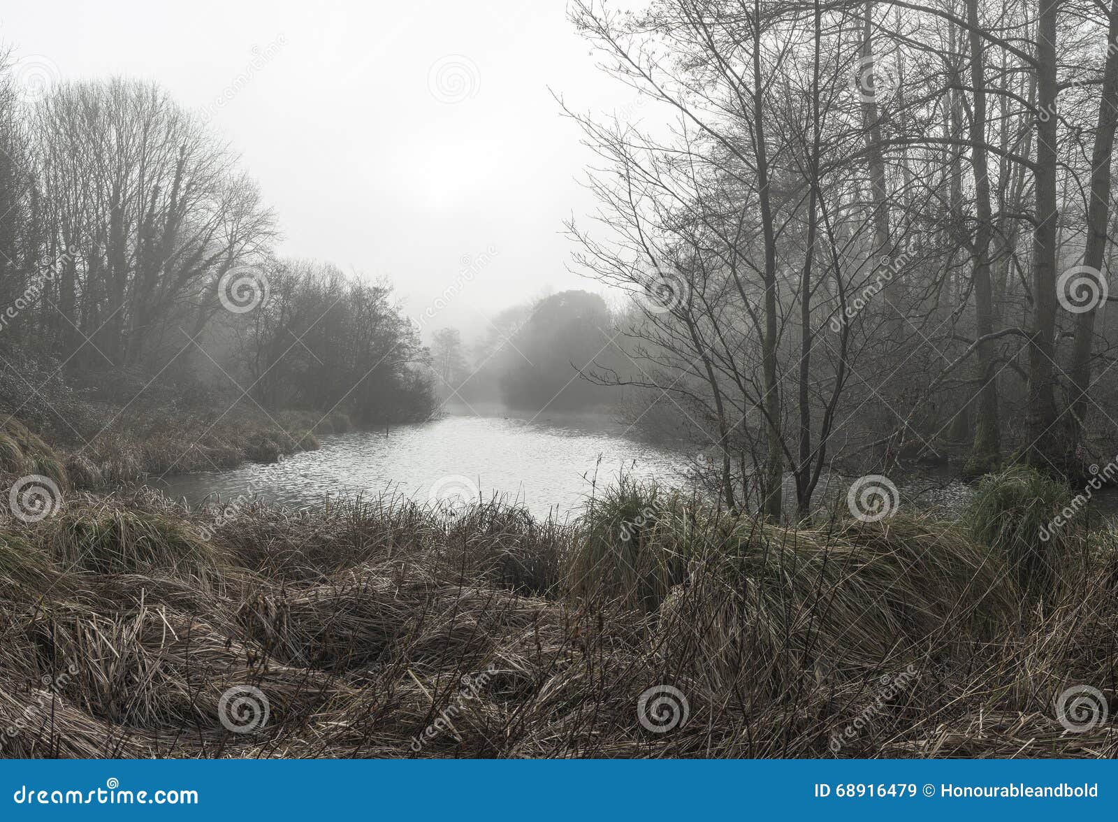 Moody Dramatic Foggy Forest Landscape Spring Autumn Fall Stock Image ...