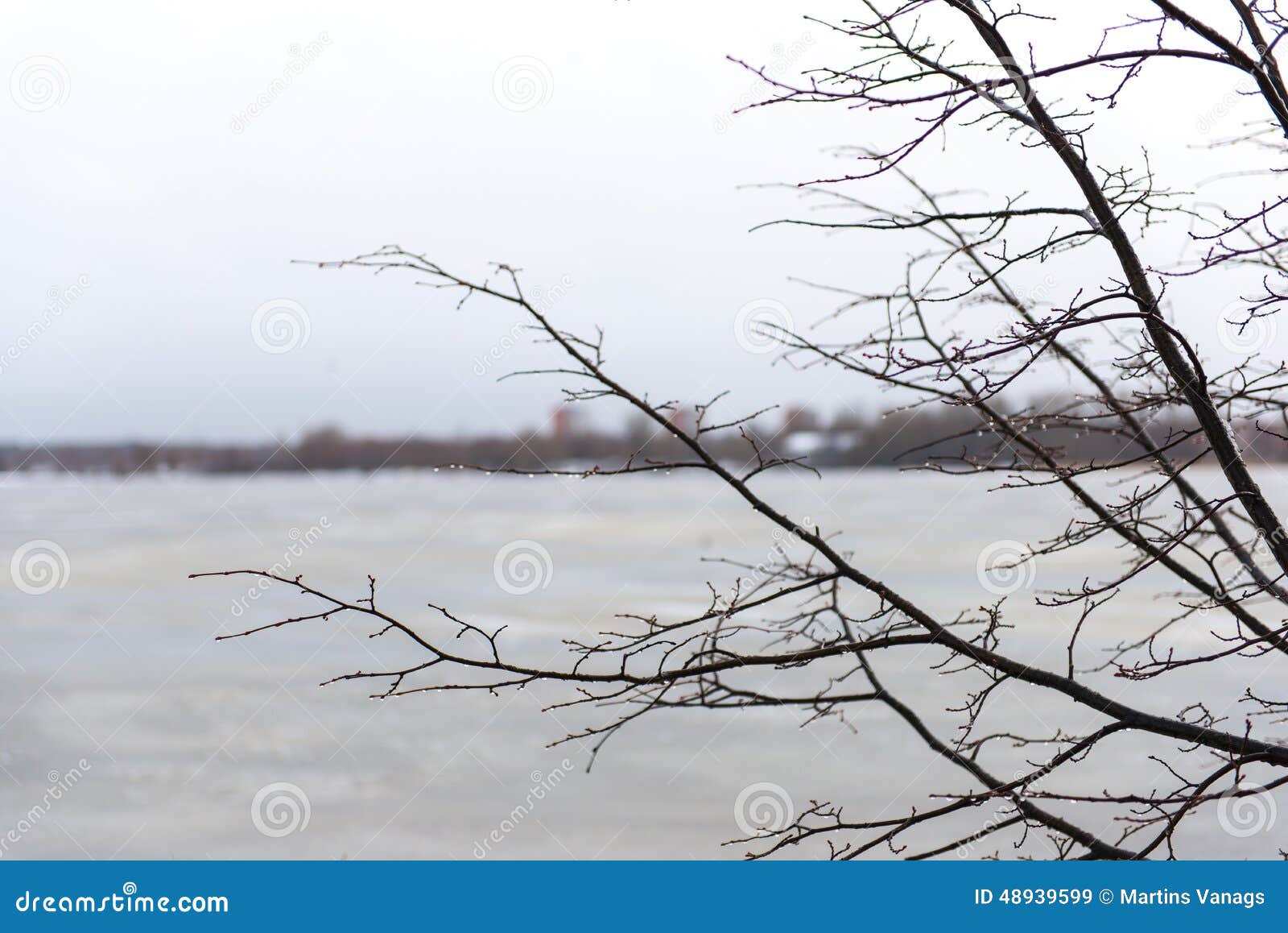 Moody Overcast Winter Day at the Lake Stock Image - Image of sandstone ...
