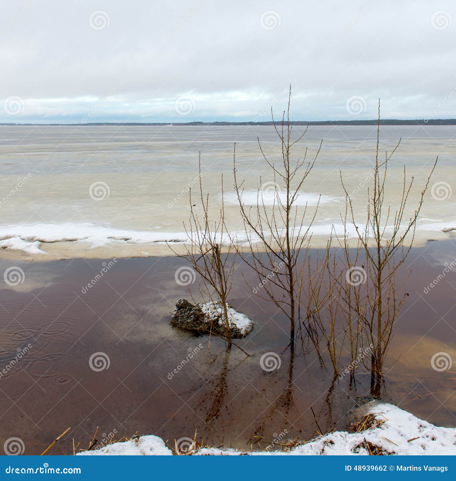 Moody Overcast Winter Day at the Lake Stock Photo - Image of crisp ...