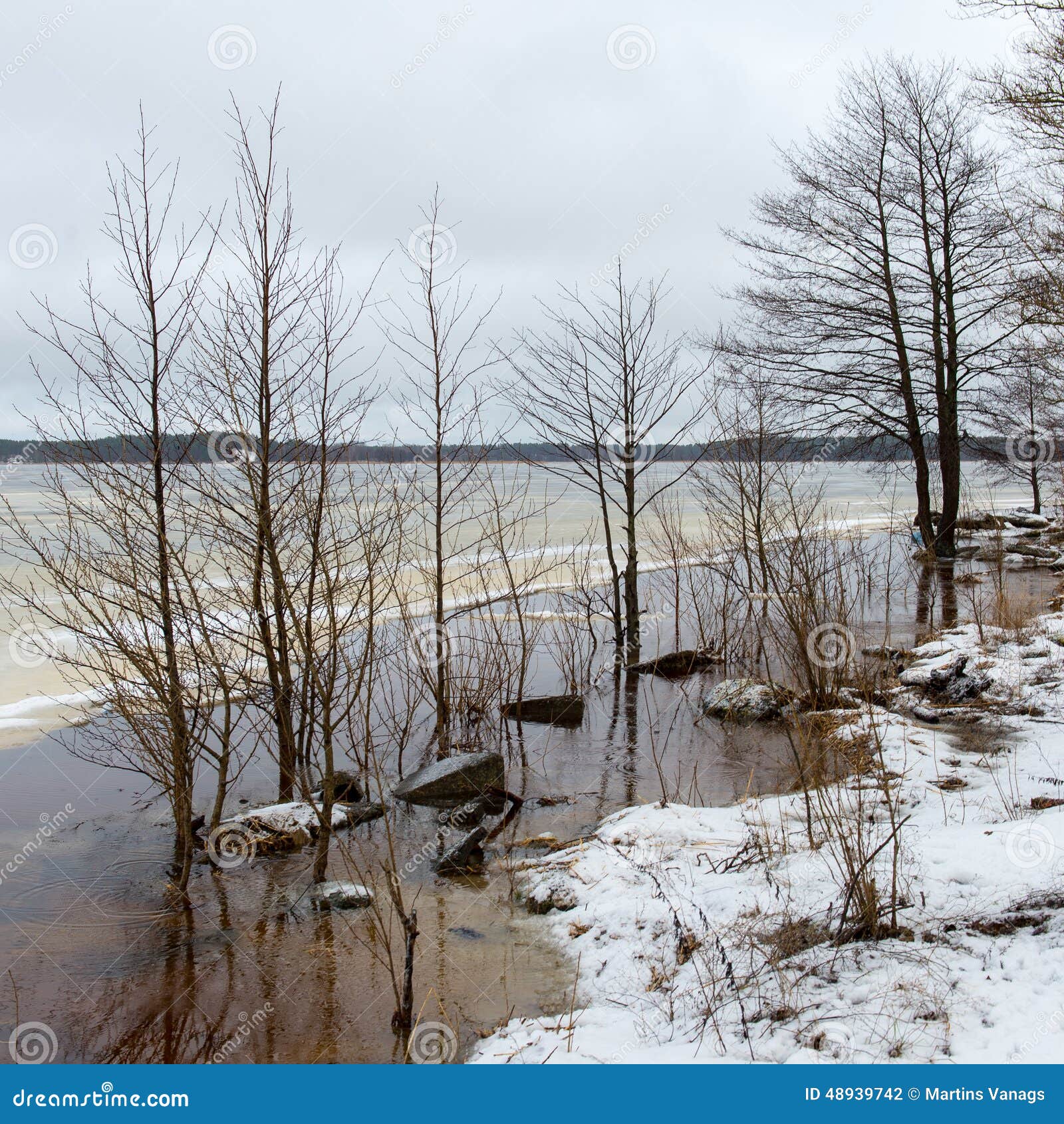 Moody Overcast Winter Day at the Lake Stock Photo - Image of nature ...