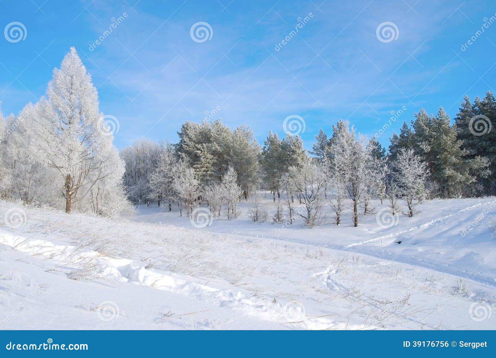 Mooi De Winterlandschap Met Bomen Stock Foto - Image of zonnig ...