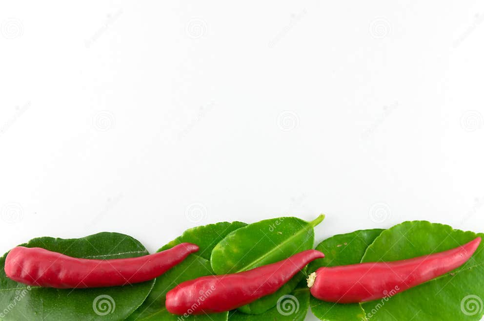 Mooi verse groenteframe stock foto. Image of maaltijd - 26807478