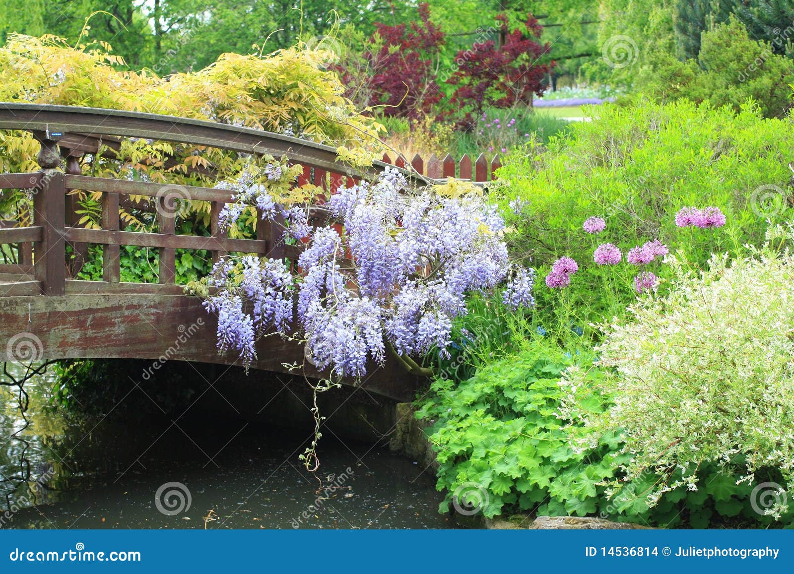 Mooie de lentetuin stock foto. Image of buiten, bloem - 14536814