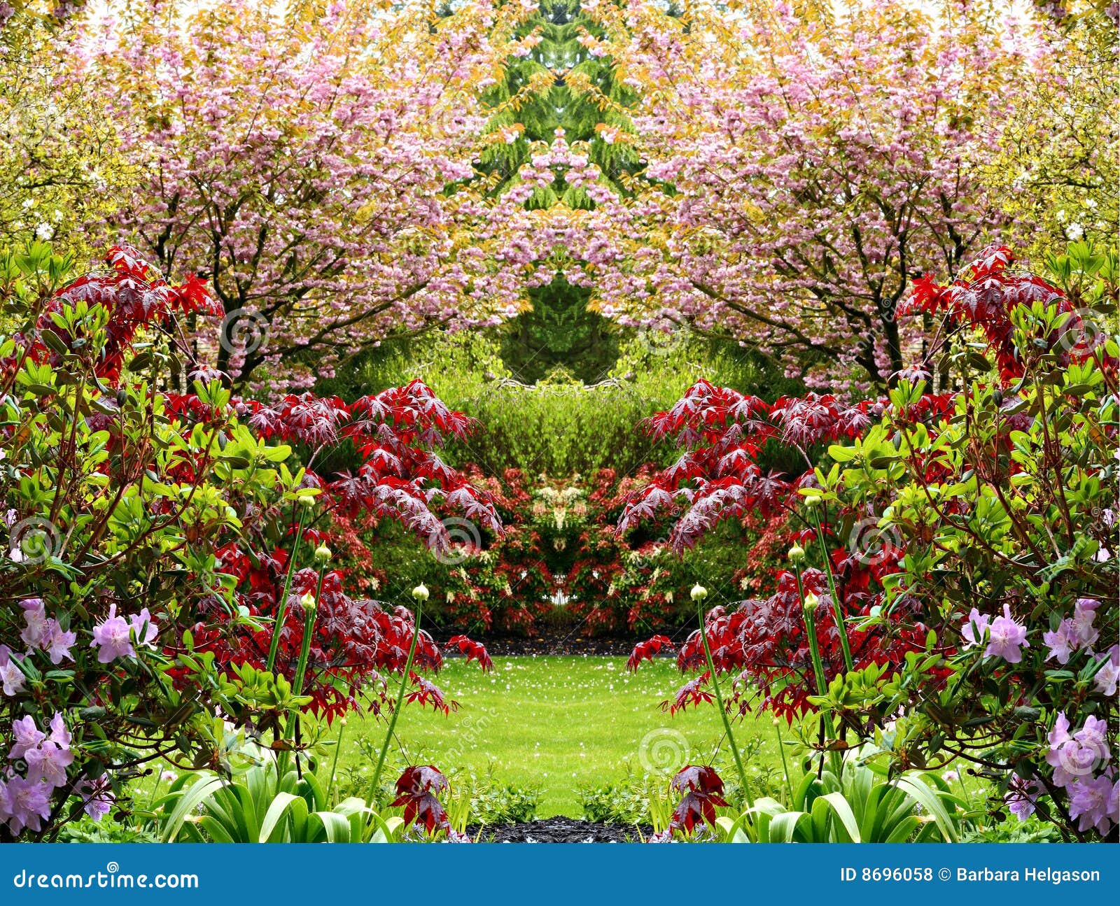 Mooie de lentetuin stock foto. Image of groen, park, gras - 8696058