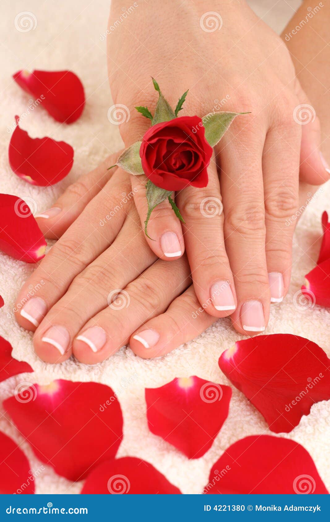 Mooie handen stock foto. Image of behandeling, ontspanning - 4221380