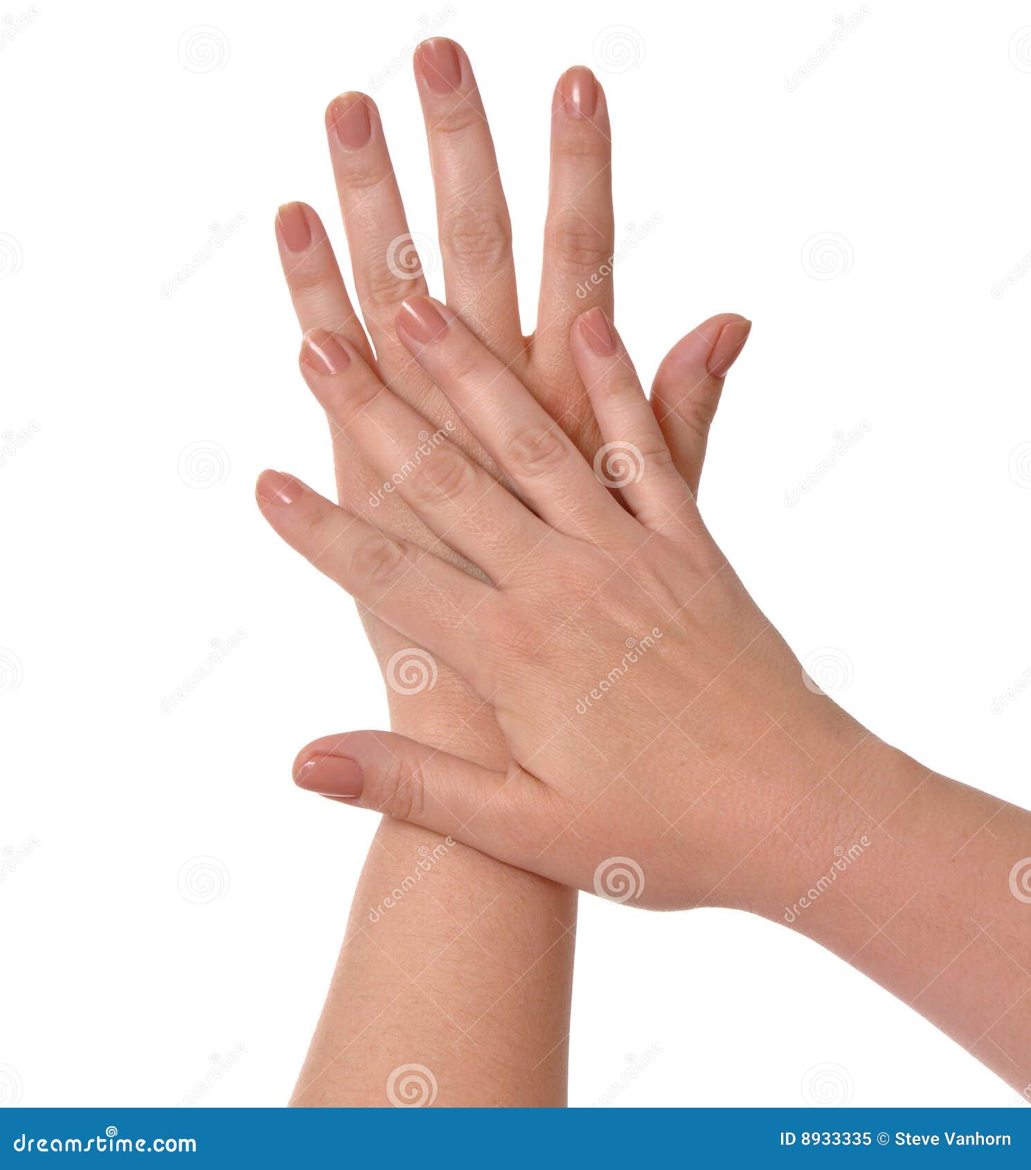 Mooie Handen stock afbeelding. Image of menselijk, lichaam - 8933335