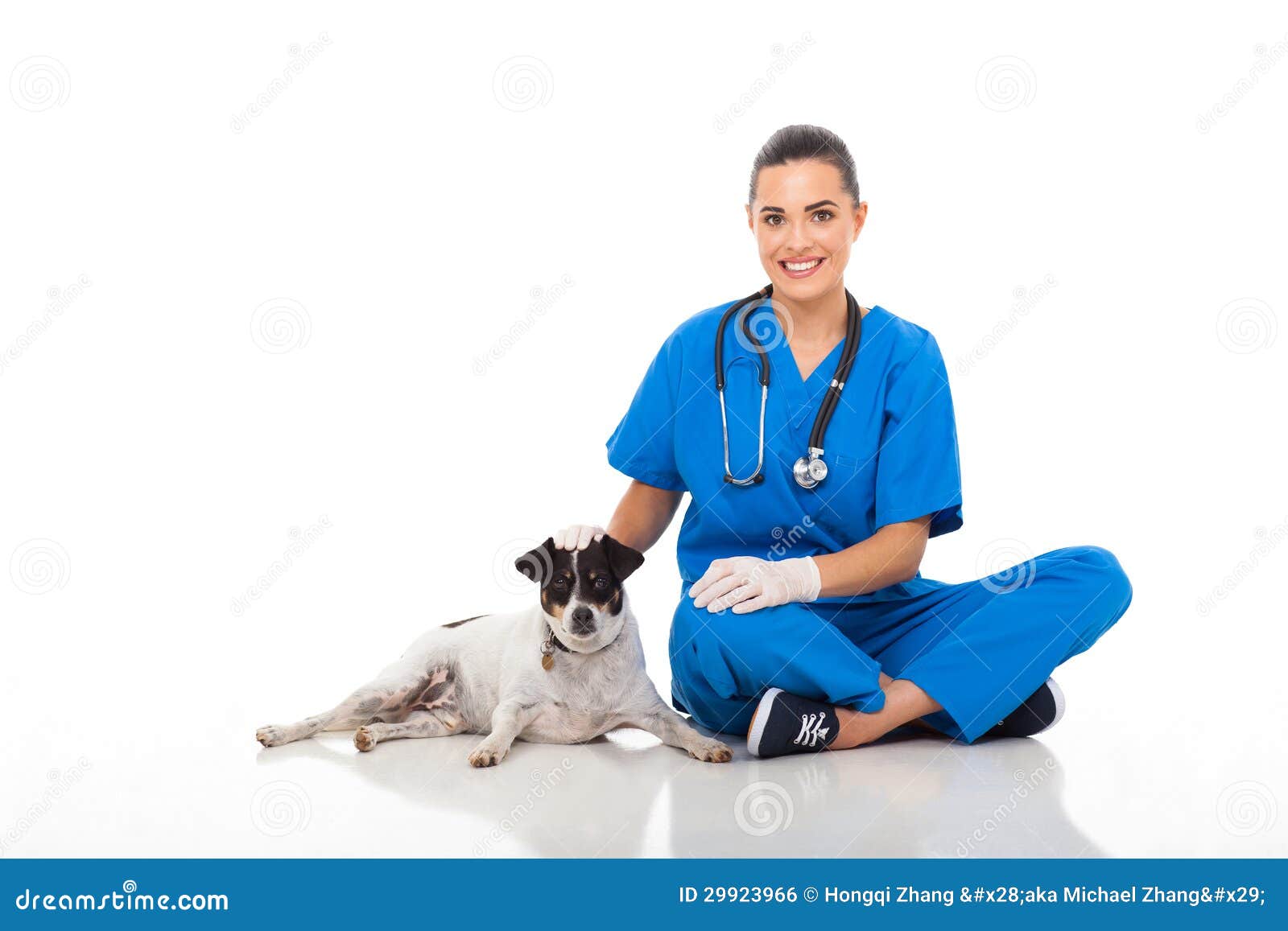 De Artsenhond Van De Dierenarts Stock Foto Image Of Leuk