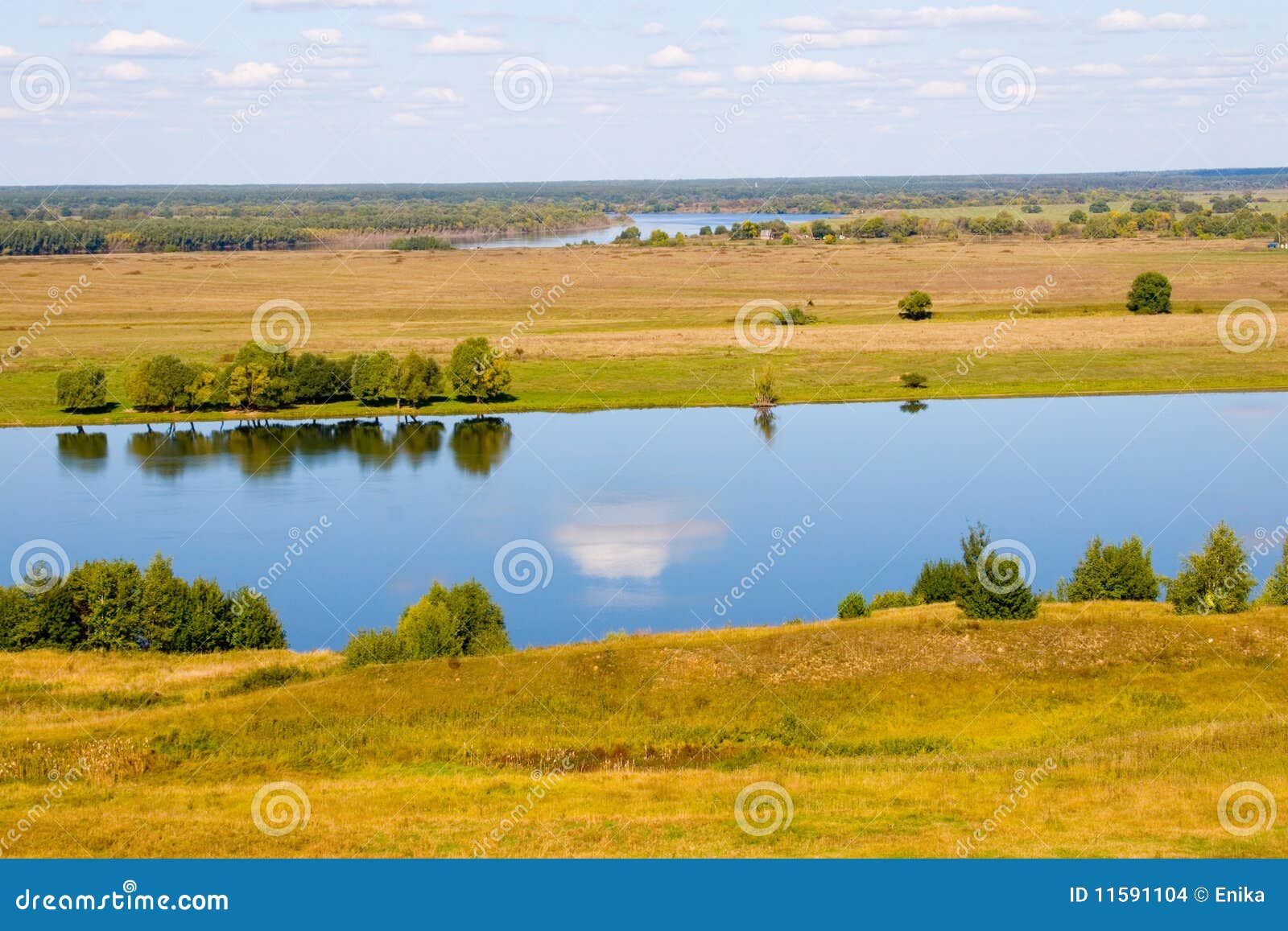 Mooie rivier stock foto. Image of bezinning, vers, madeliefje - 11591104
