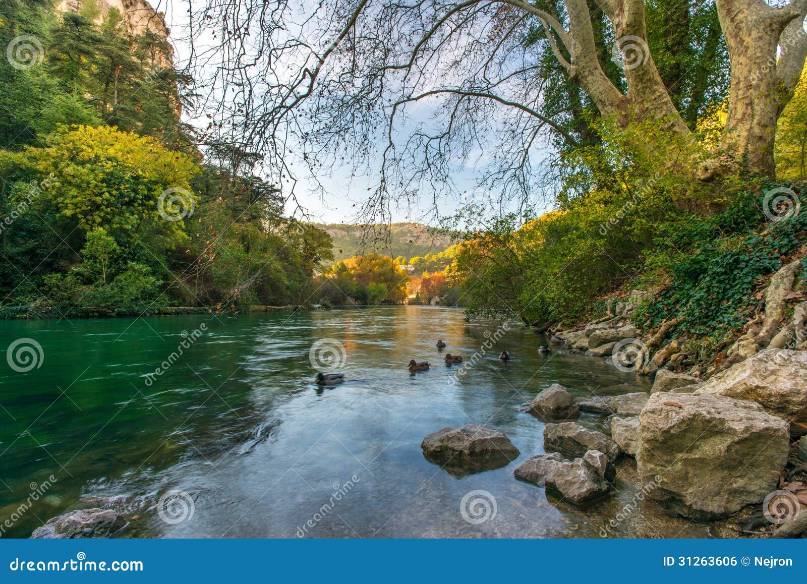 Mooie rivier stock foto. Image of gebladerte, daling - 31263606