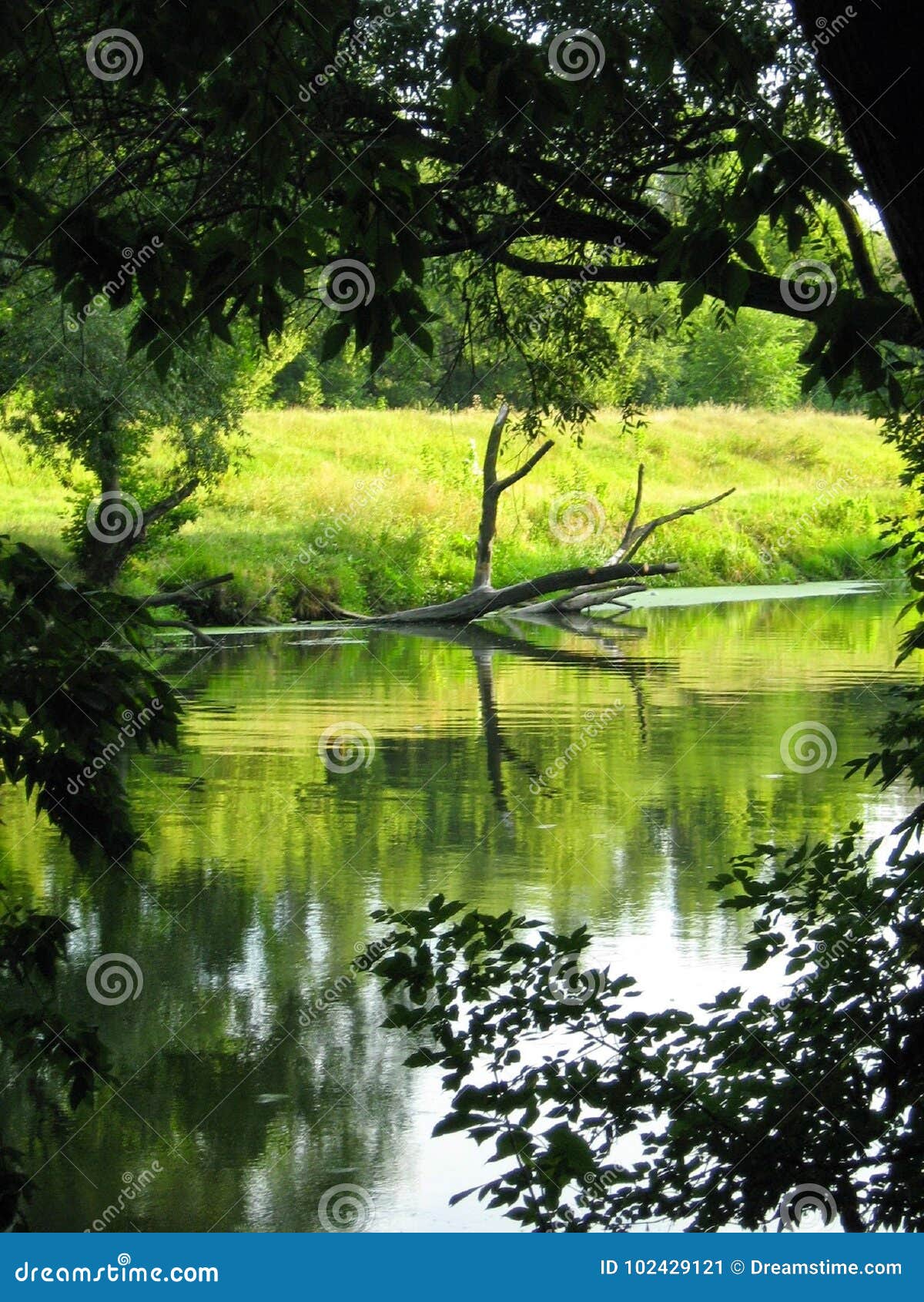 Mooie rivieren stock afbeelding. Image of achtergrond - 102429121