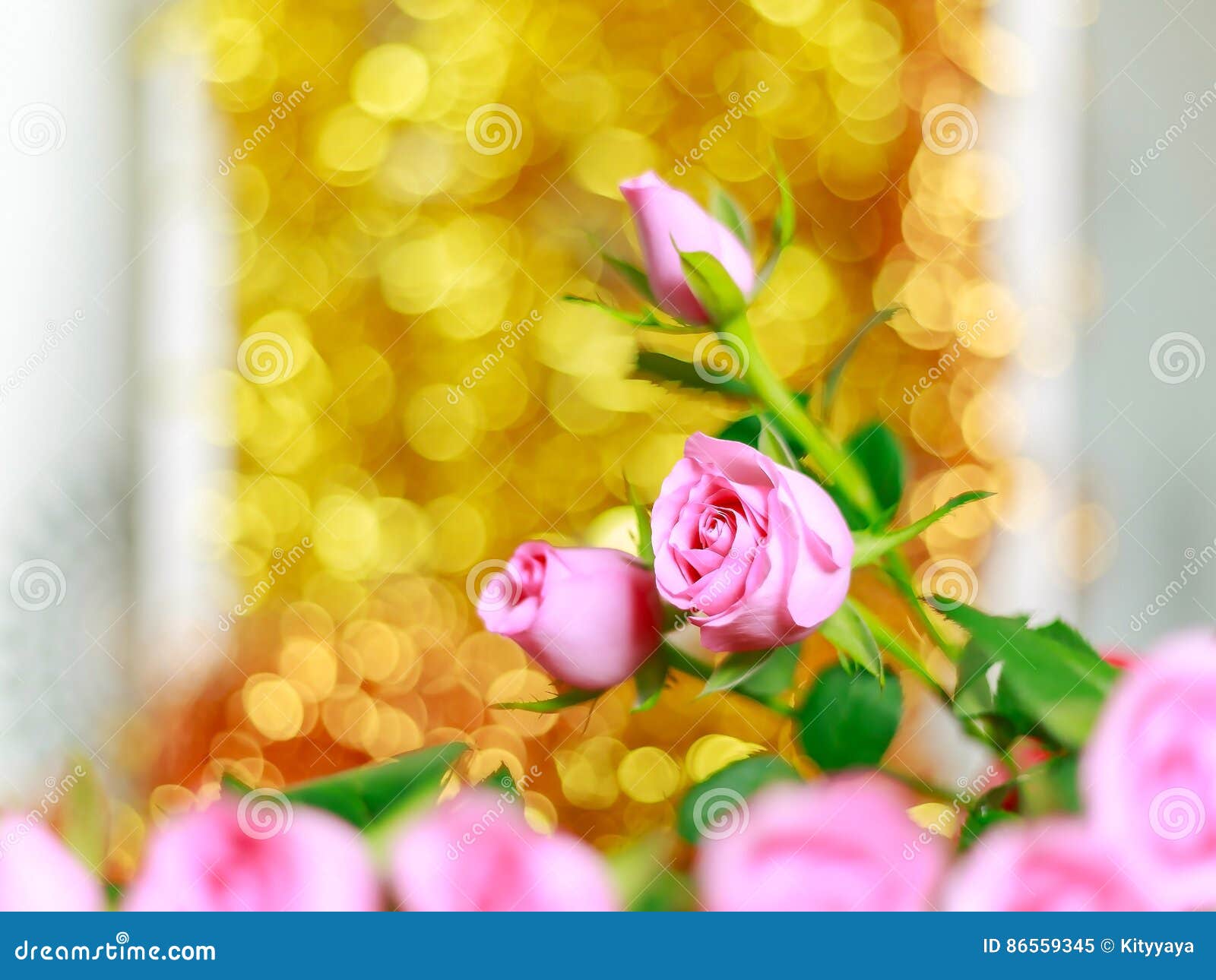 Mooie Roze Rozen En Bokeh Achtergrond Stock Afbeelding - Image of ...