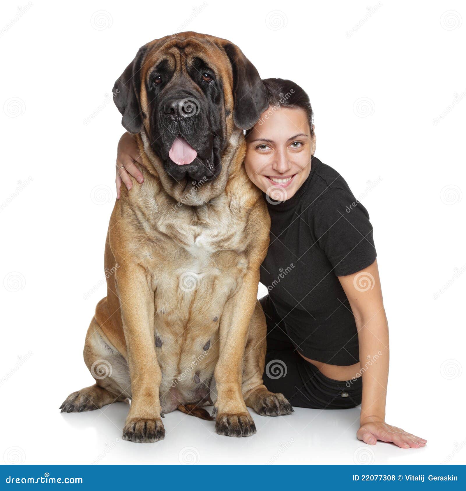 Mooie Vrouw En Engelse Mastiff Stock Foto - Image of charmant, geluk ...