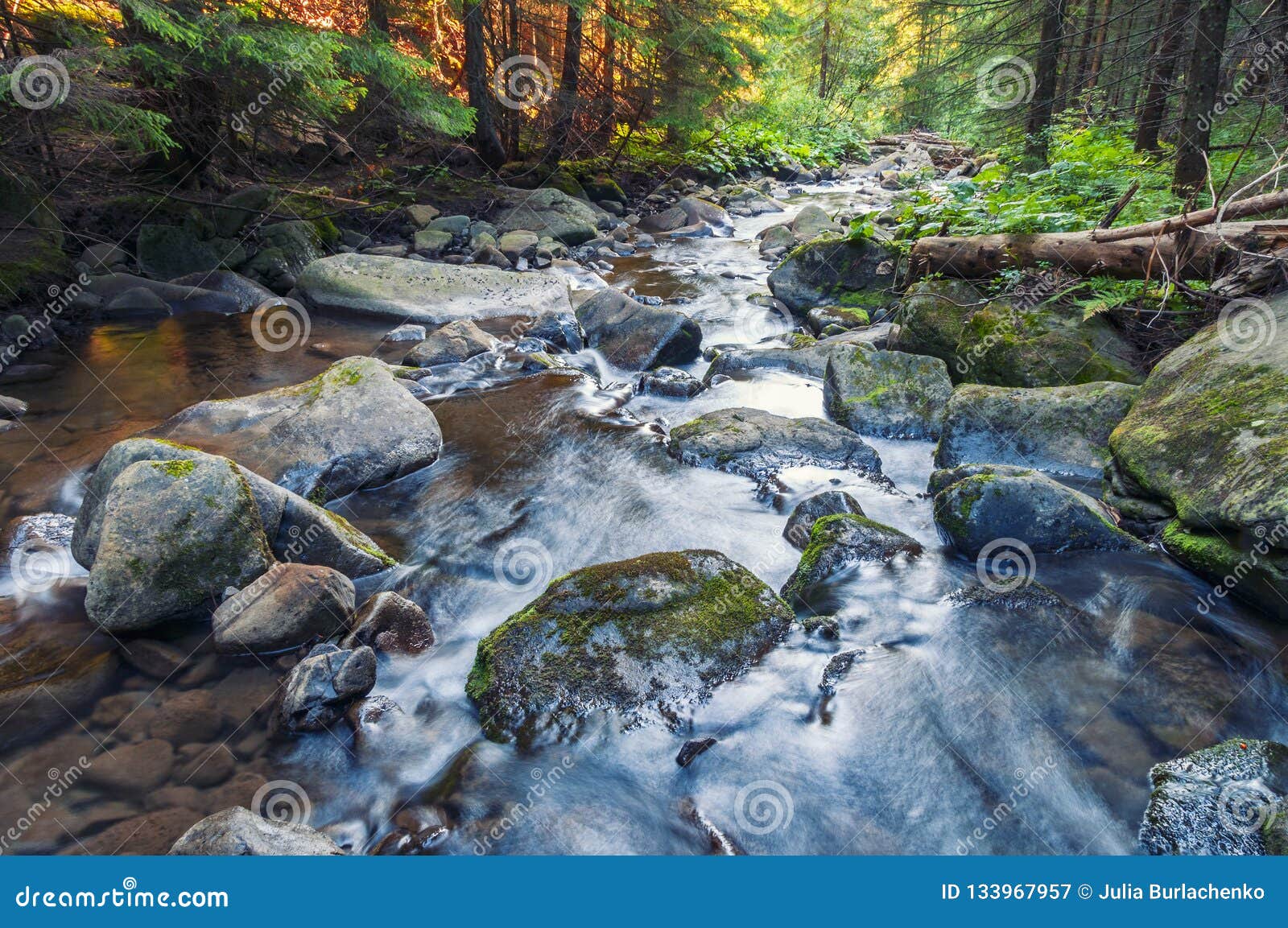 Mooie Waterstroom Diep in Het Bos Stock Afbeelding - Image of vers ...