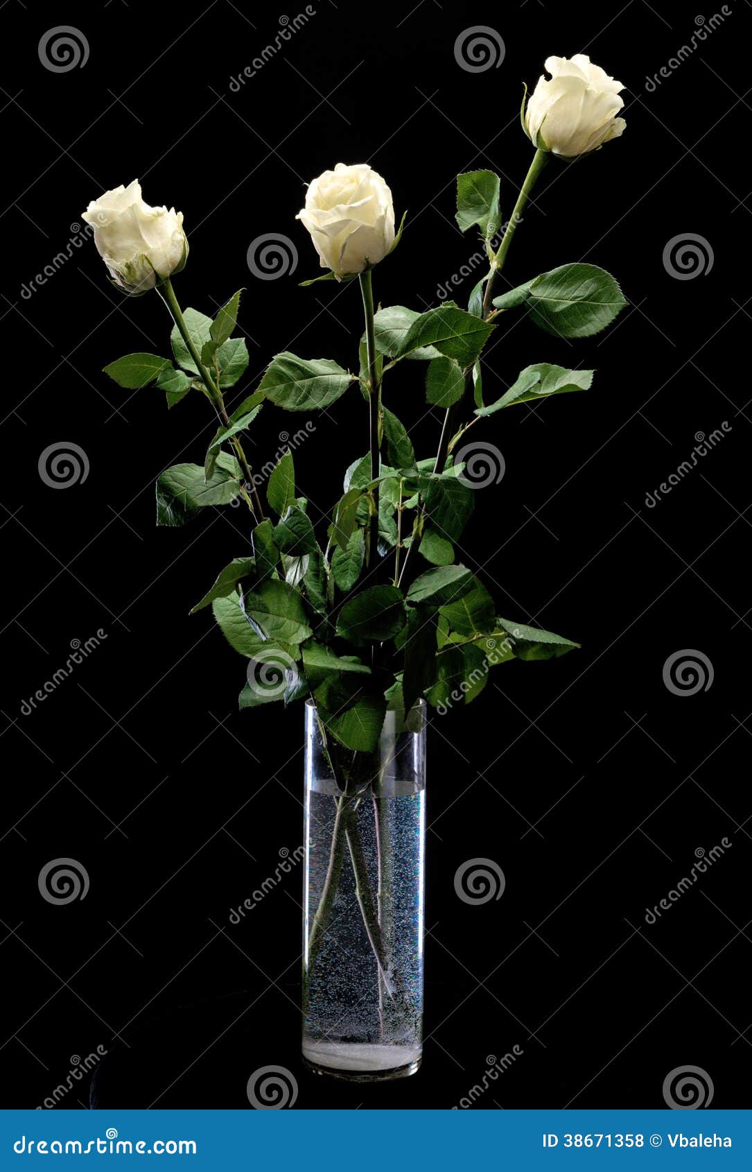 Mooie witte rozen in vaas stock foto. Image of plantkunde - 38671358