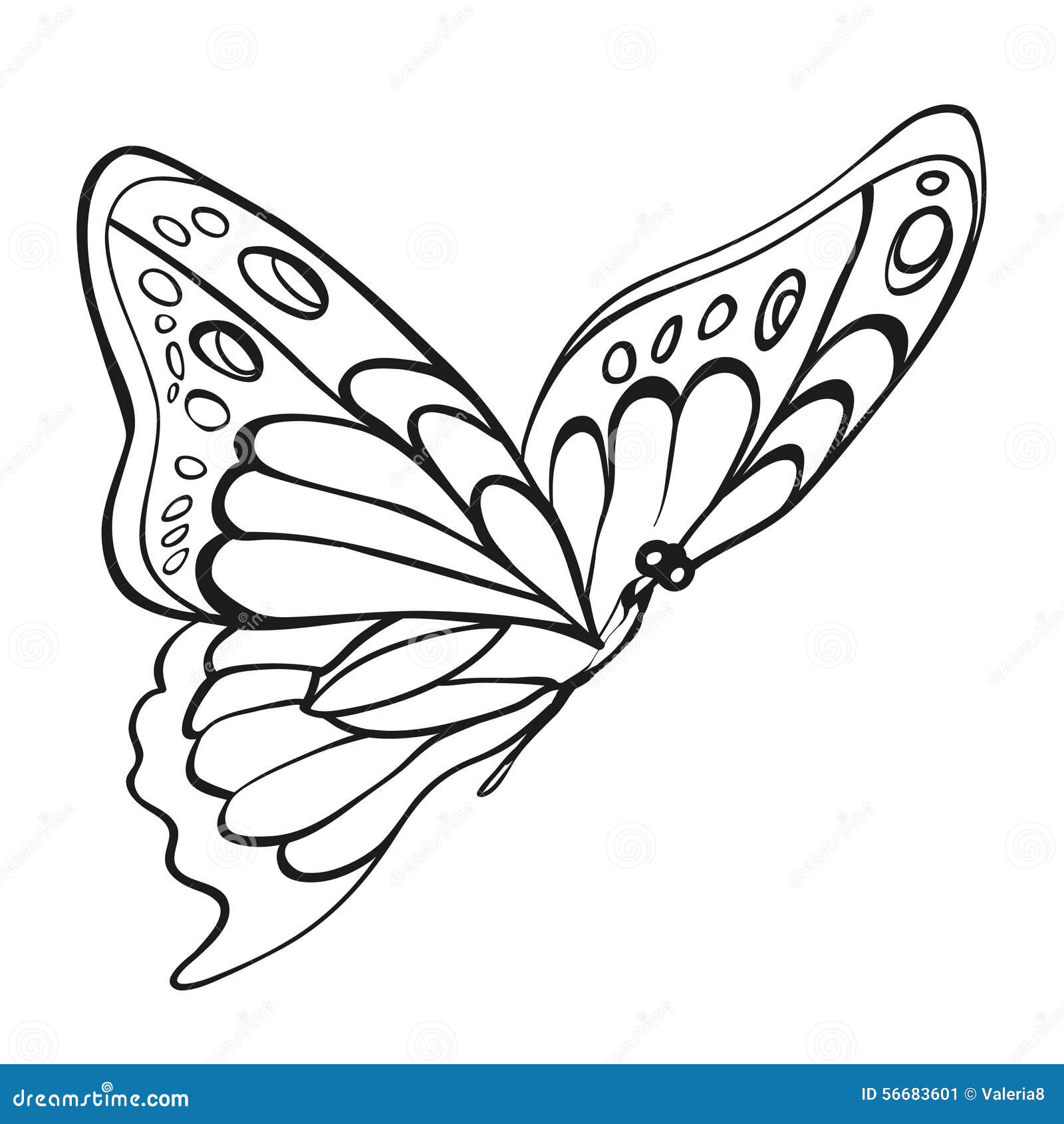 Mooie zwart-wit vlinder vector illustratie. Illustration of getrokken ...