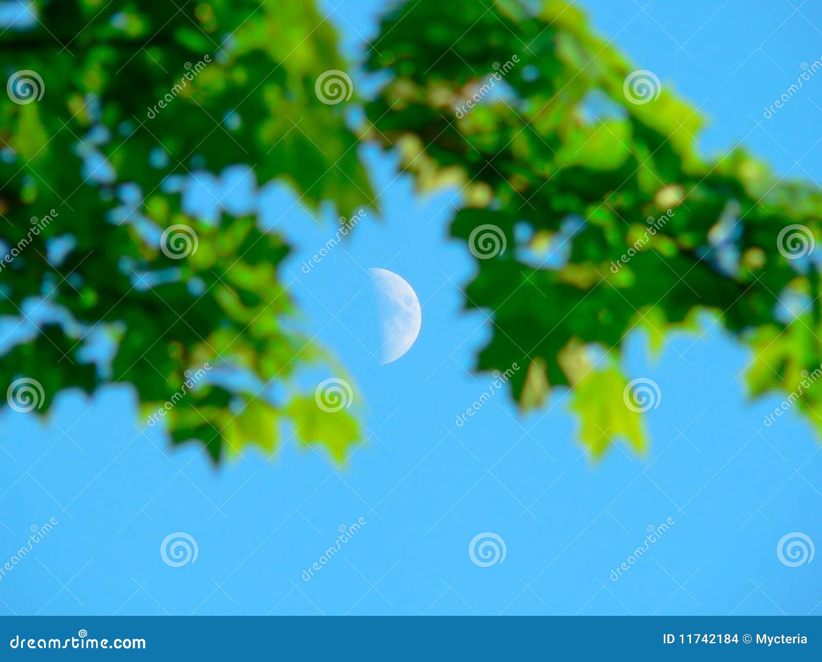 Moon stock photo. Image of effect, beauty, moon, horizontal - 11742184