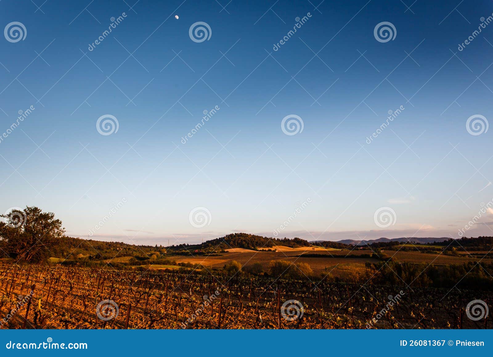 Moon Above Glowing Vineyards and Rolling Hills. Stock Image - Image of ...