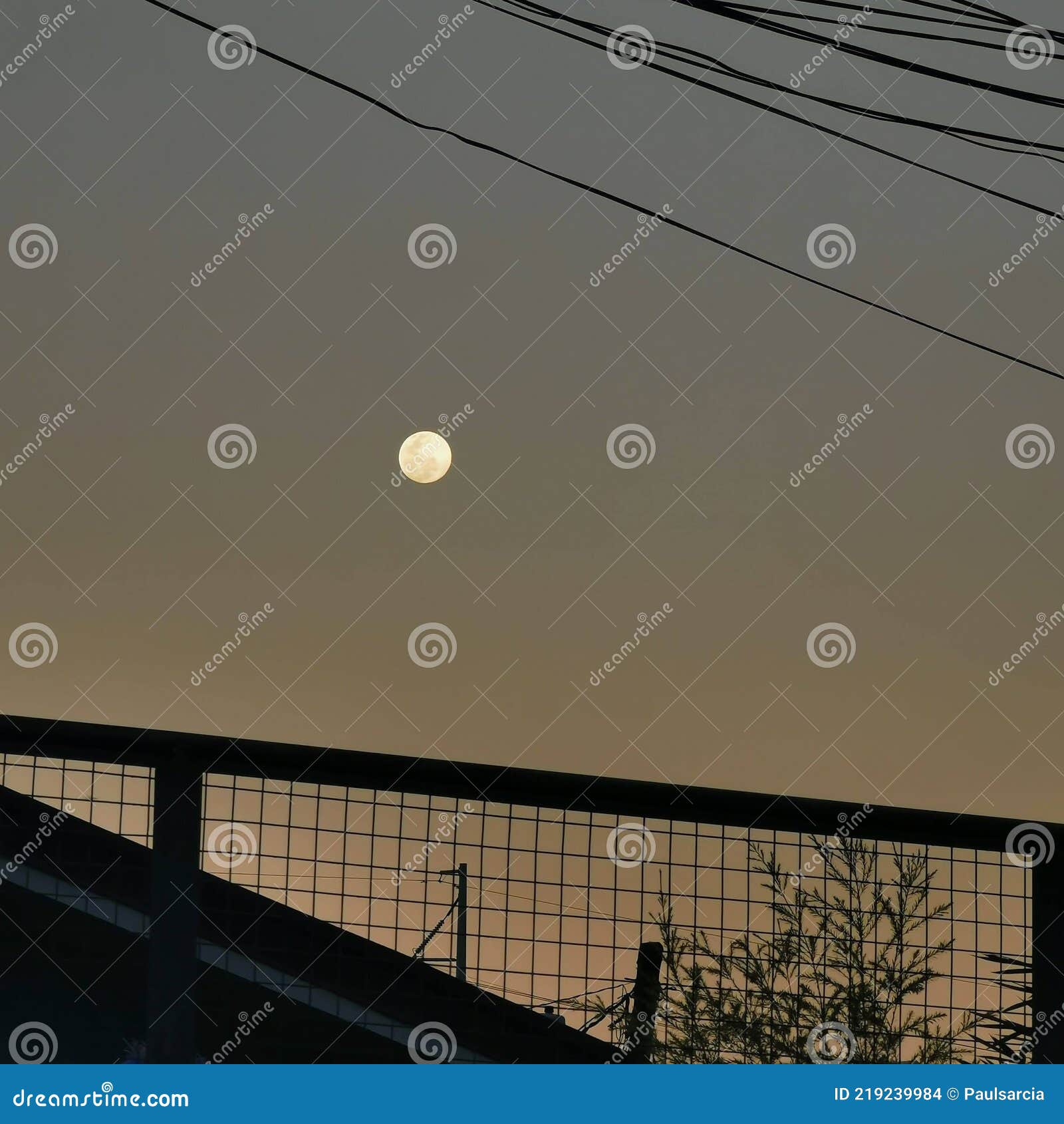 Moon in the Afternoon stock photo. Image of dusk, afternoon - 219239984