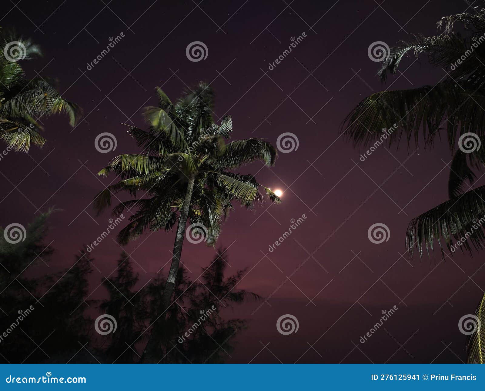 Moon Behind a Coconut Tree Lunar Eclipse Beautiful Background Stock ...