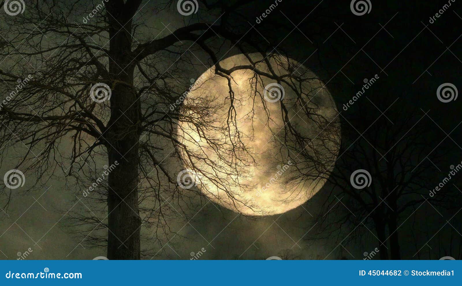 Moon Behind Tree. Mystery Night Background Stock Footage - Video of ...