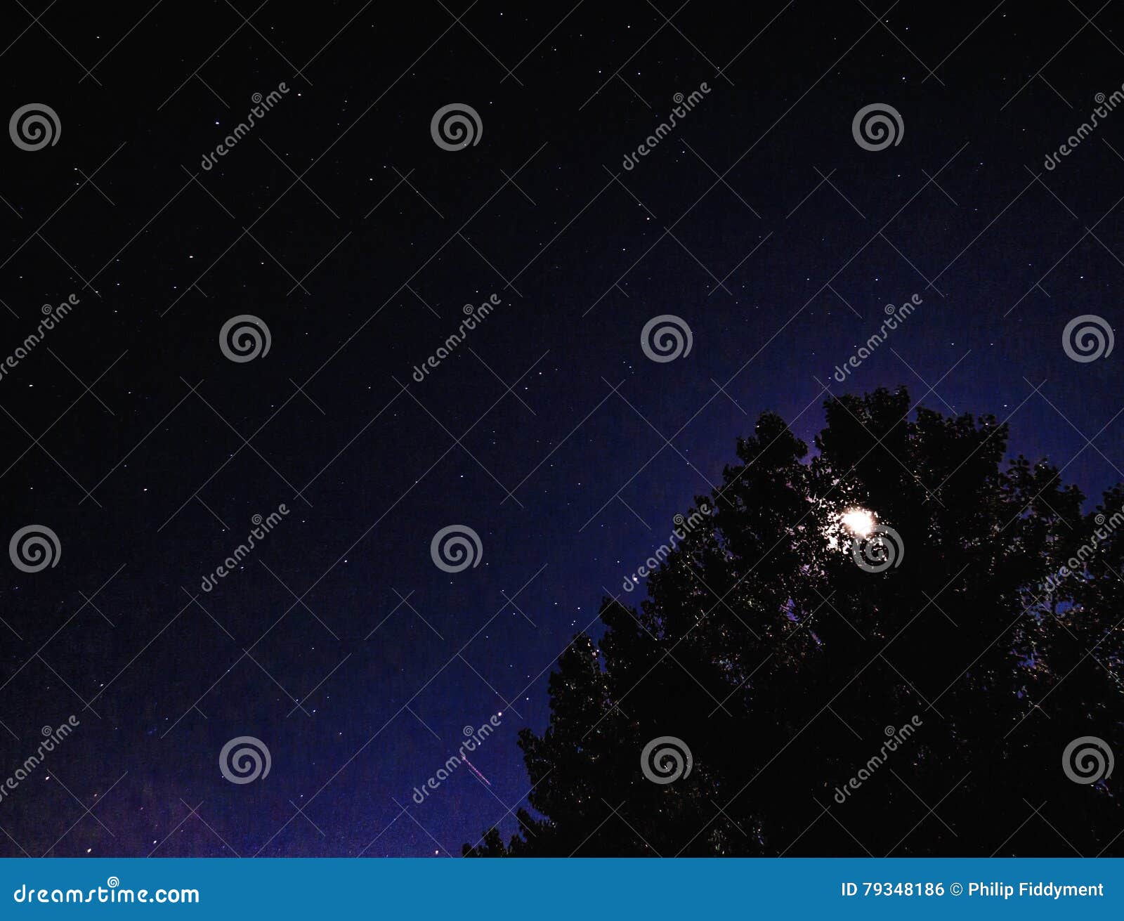 Moon Behind Tree in Night Sky in Zaragoza Stock Photo - Image of moon ...